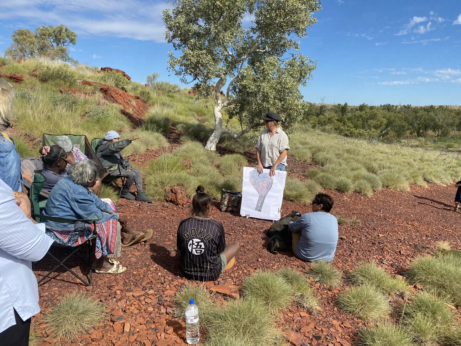 Aboriginal Economic Development — RFF Australia Native Title ...