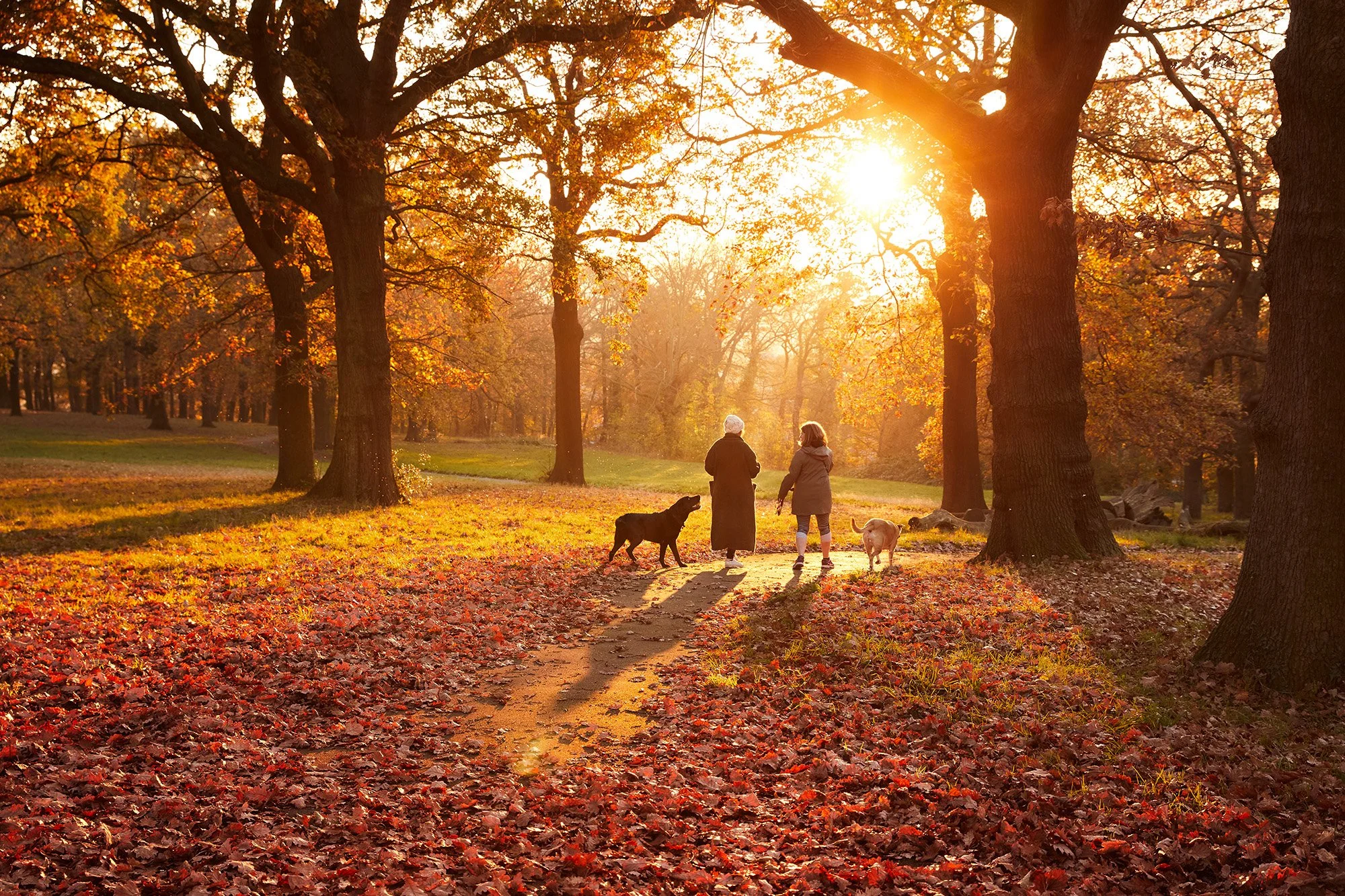 Jono Blackham | Lifestyle Photographer London