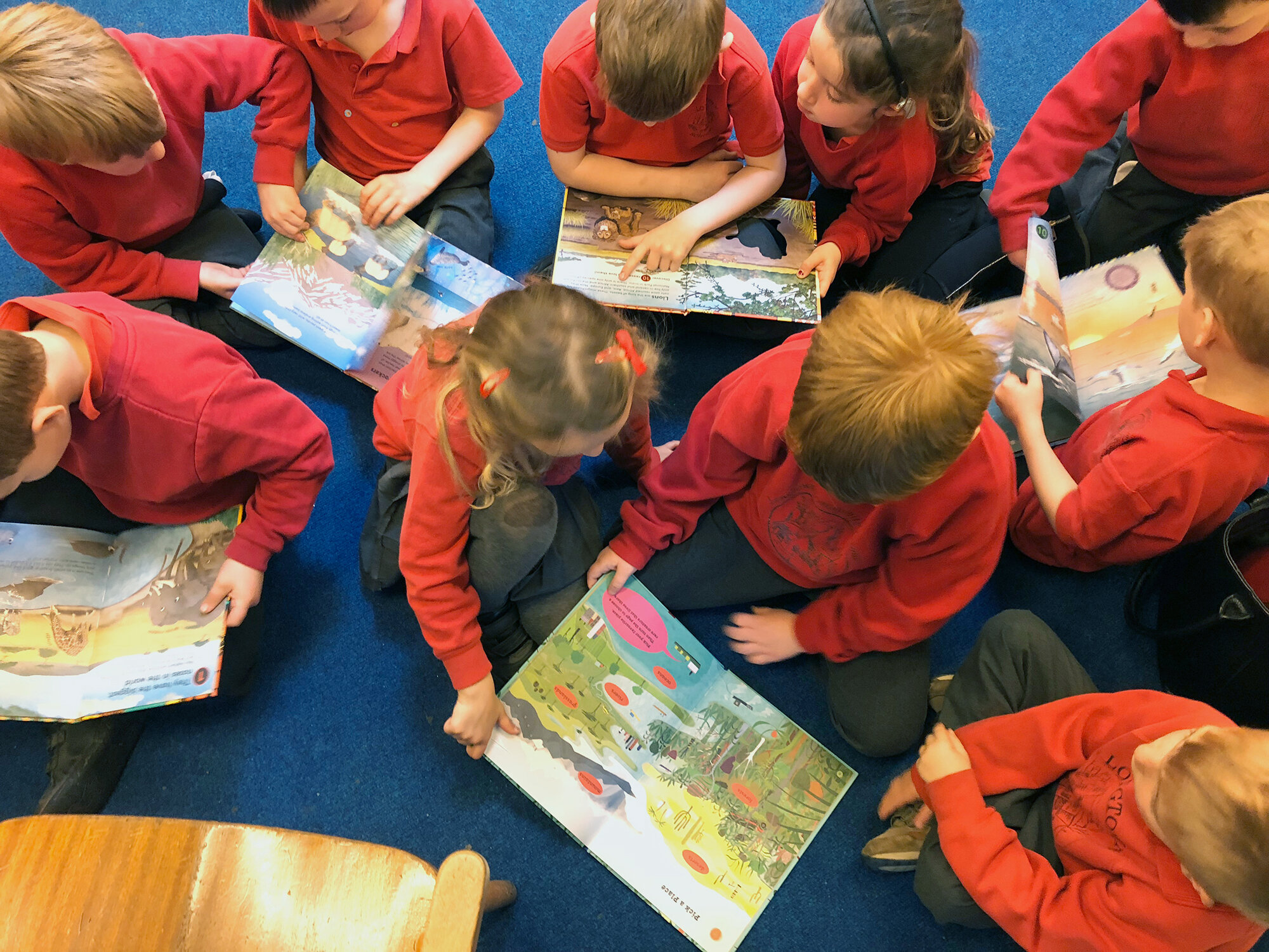 schools — Catherine Barr Books