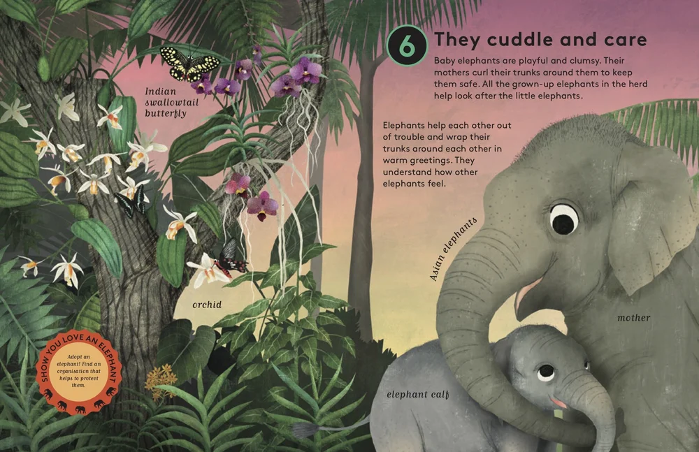 10 Reasons to Love an Elephant — Catherine Barr Books