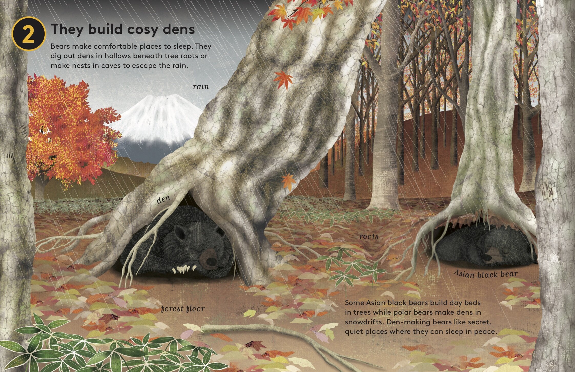 10 Reasons to Love a Bear — Catherine Barr Books