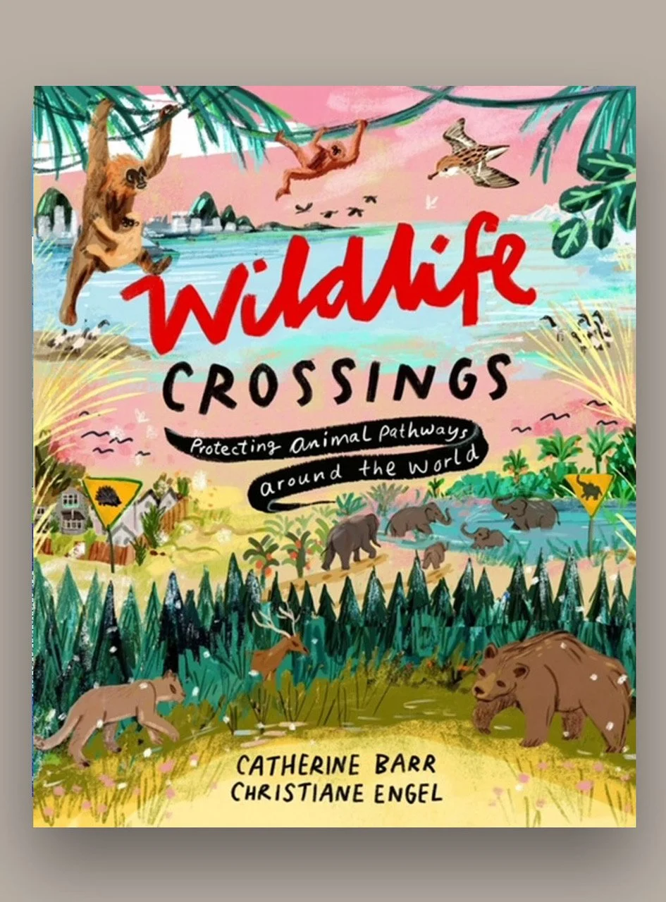 Wildlife Crossings: Protecting Animal Pathways Around the World ...