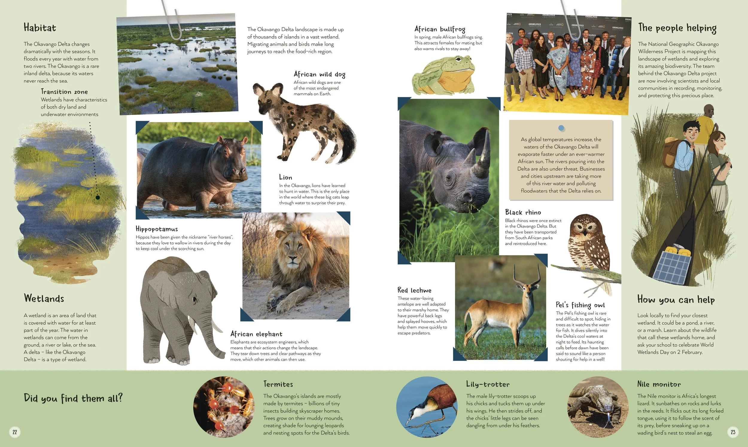 The World's Wildest Water: Protecting life in seas, rivers and lakes — Catherine Barr Books