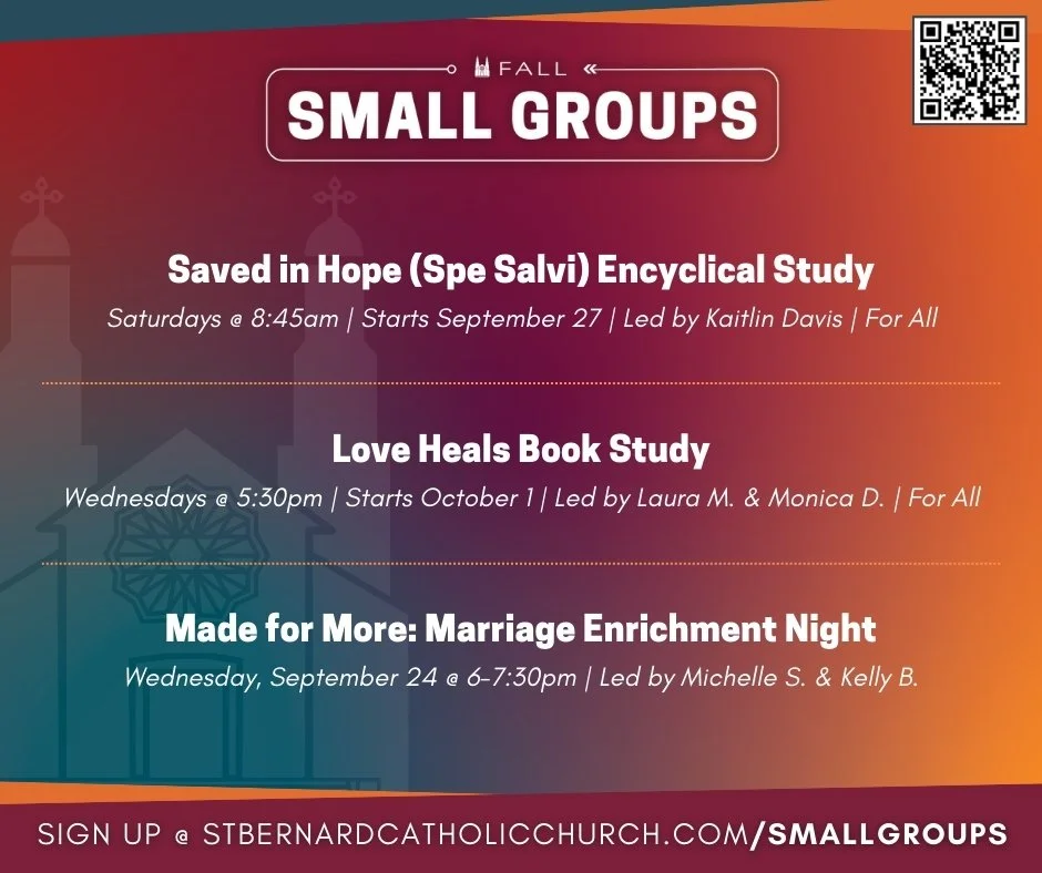 Fall Small Groups — St. Bernard Catholic Church