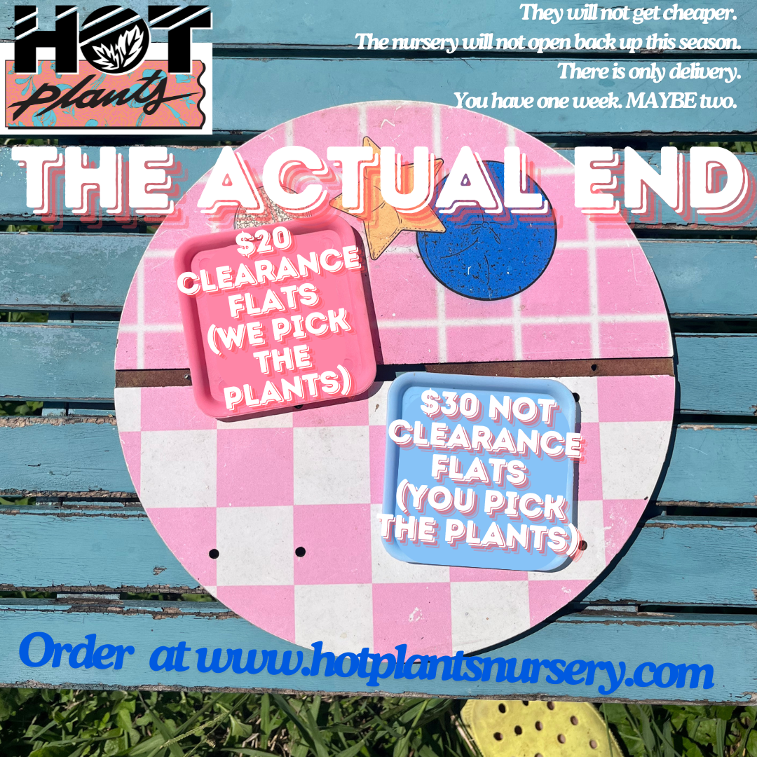 Product — Hot Plants