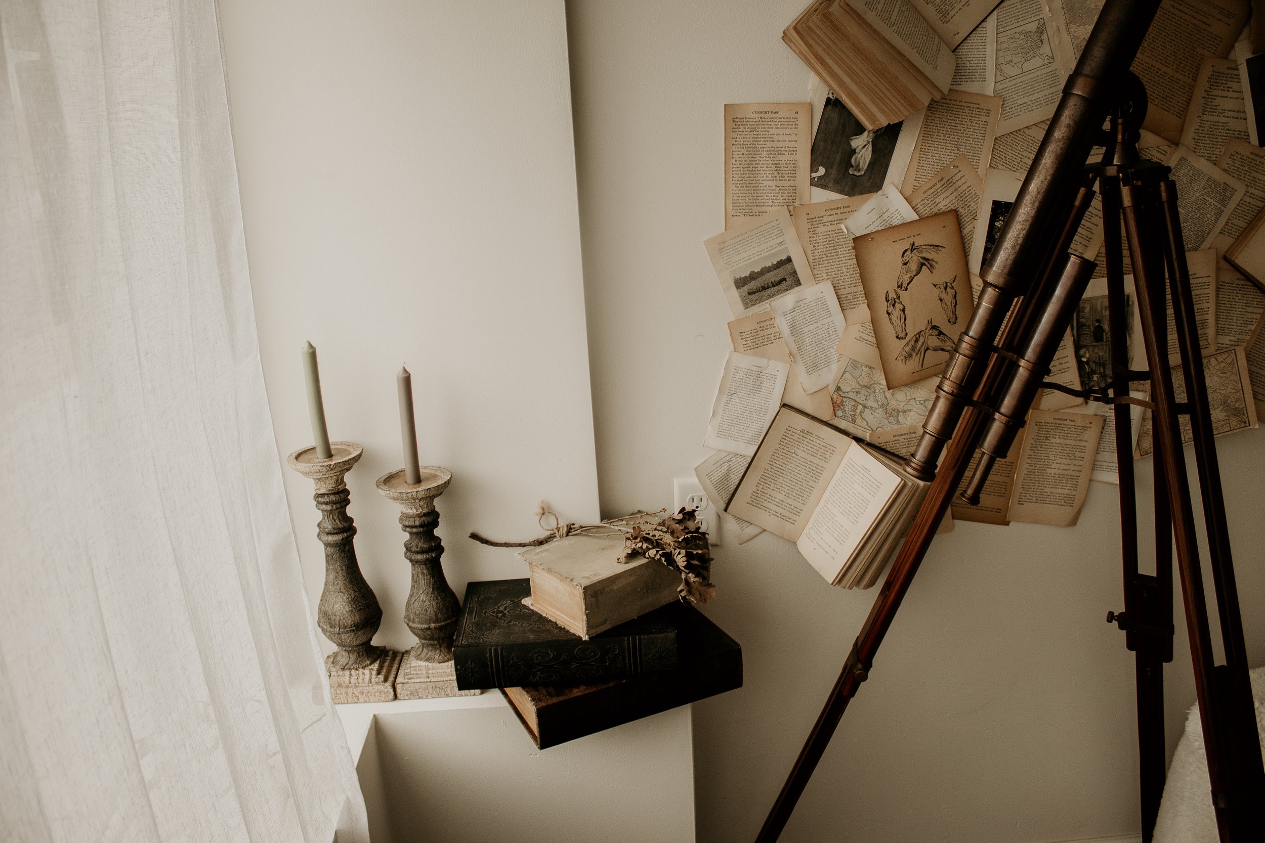 Reese Studio — Lion & Ram