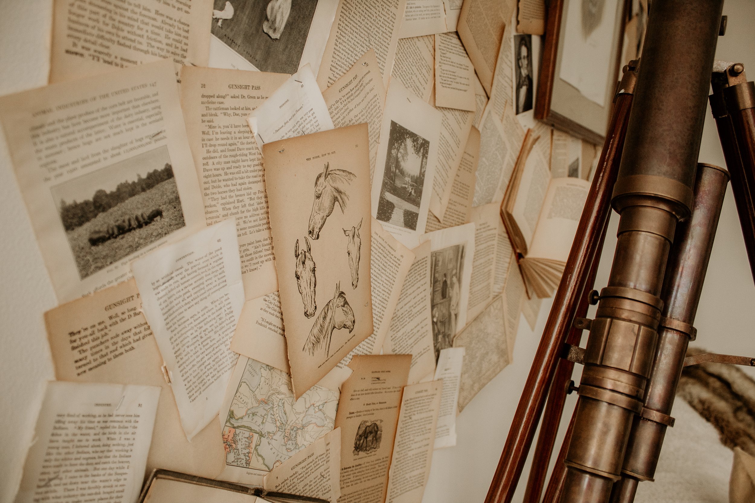 Reese Studio — Lion & Ram