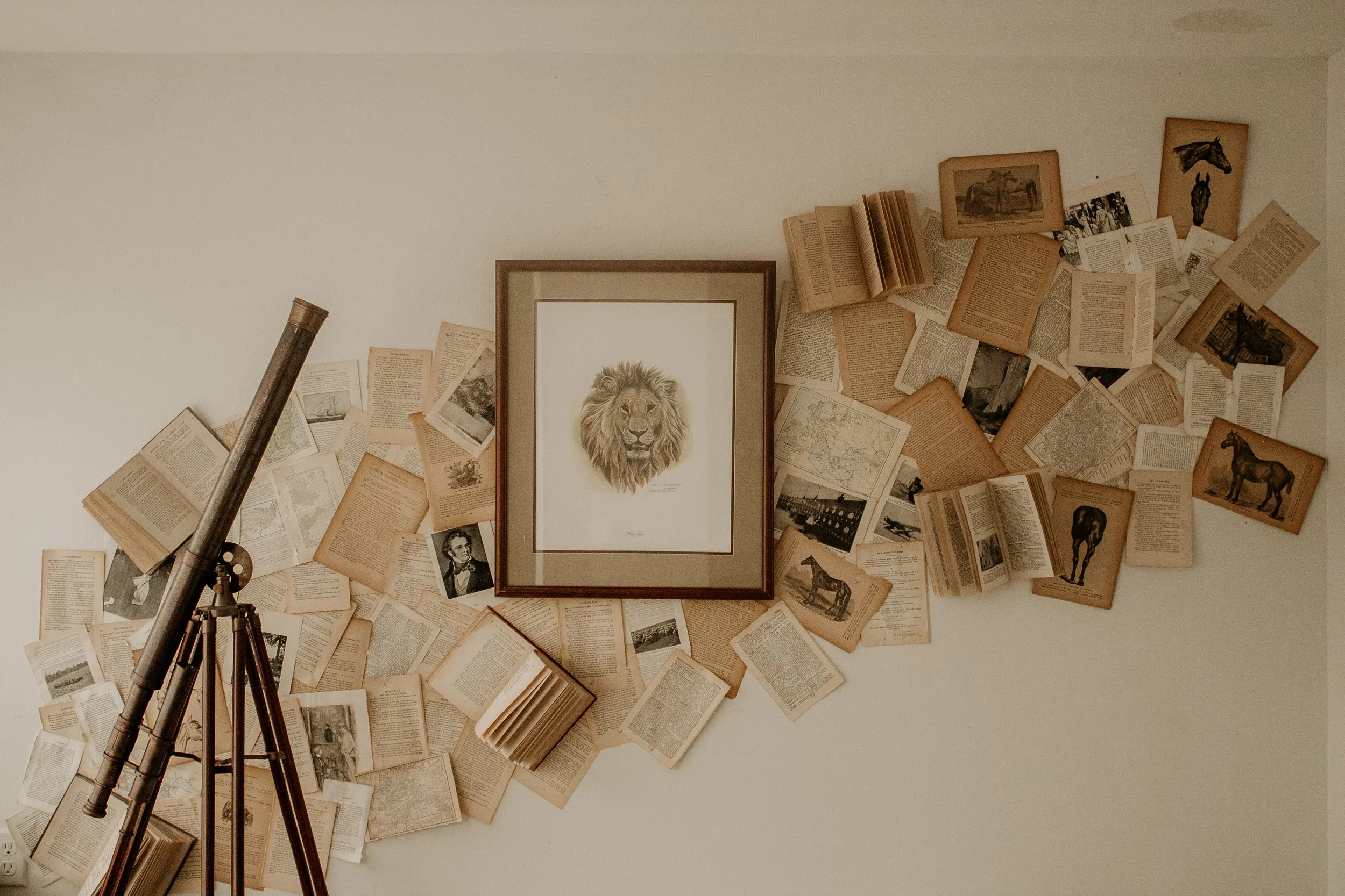 Reese Studio — Lion & Ram