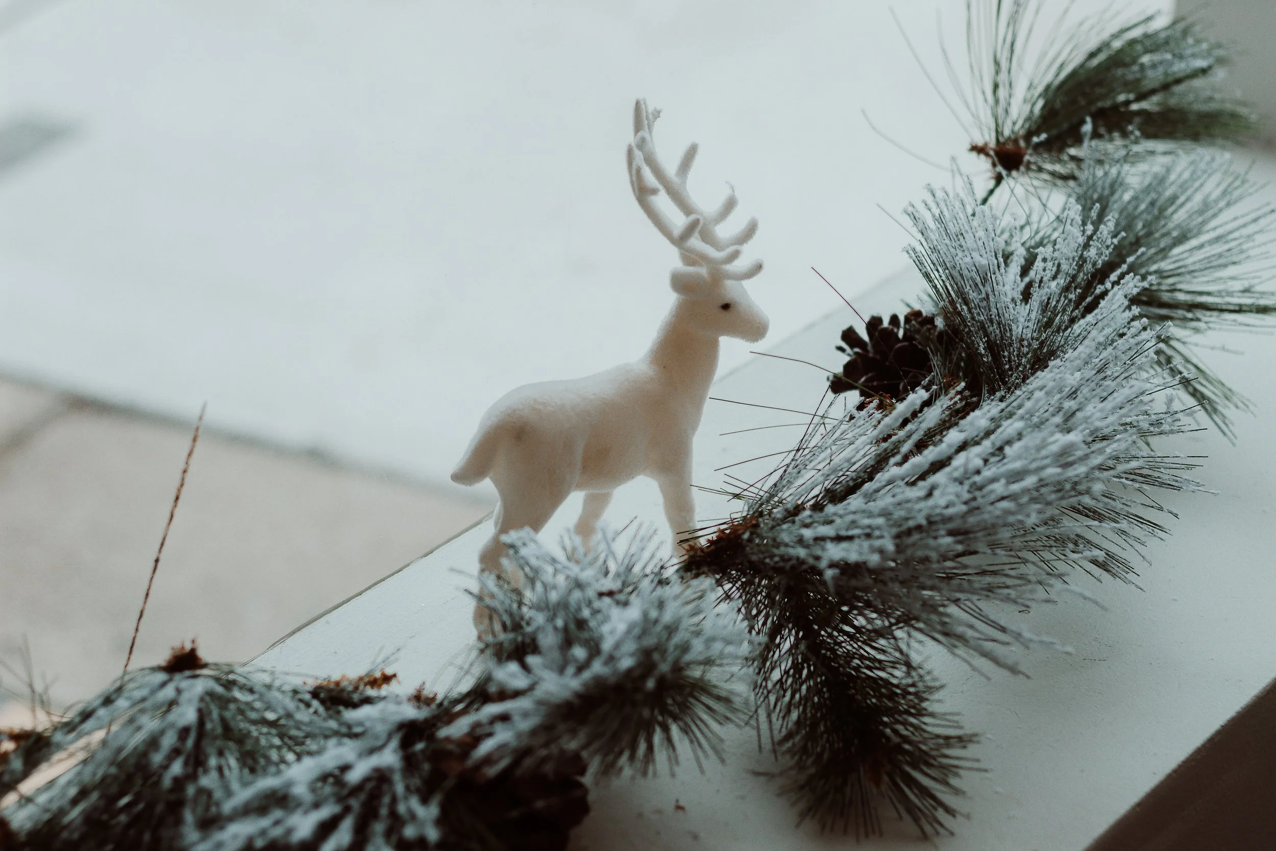 Reese Studio — Lion & Ram