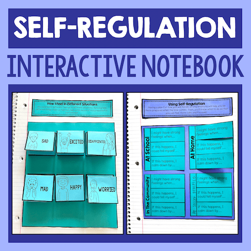 Self Regulation Worksheet
