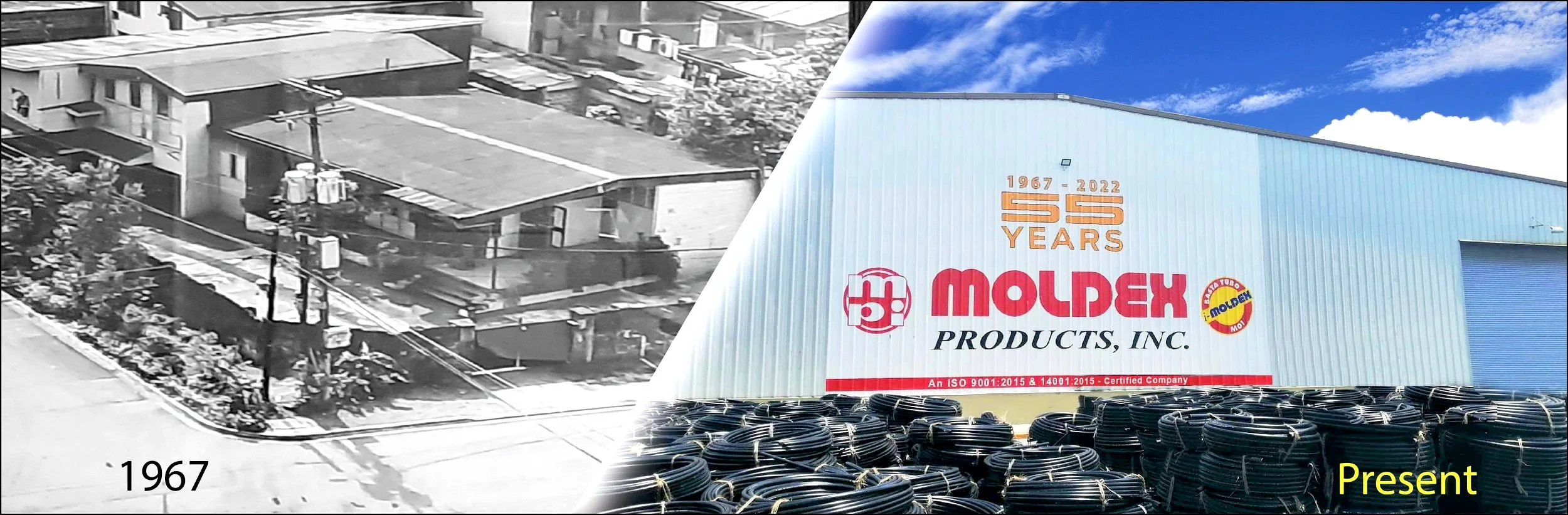 Company Profile of MOLDEX Products Inc. — MOLDEX PRODUCTS, INC ...