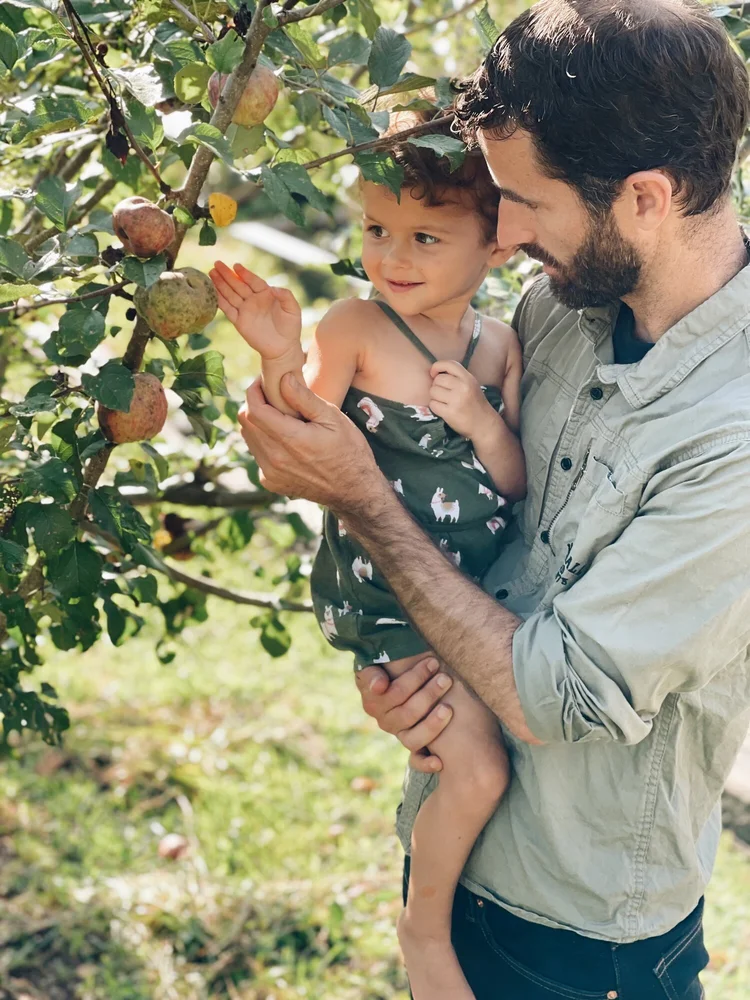 Tips for the Ellen White Tree Planting Method - Azure Farm