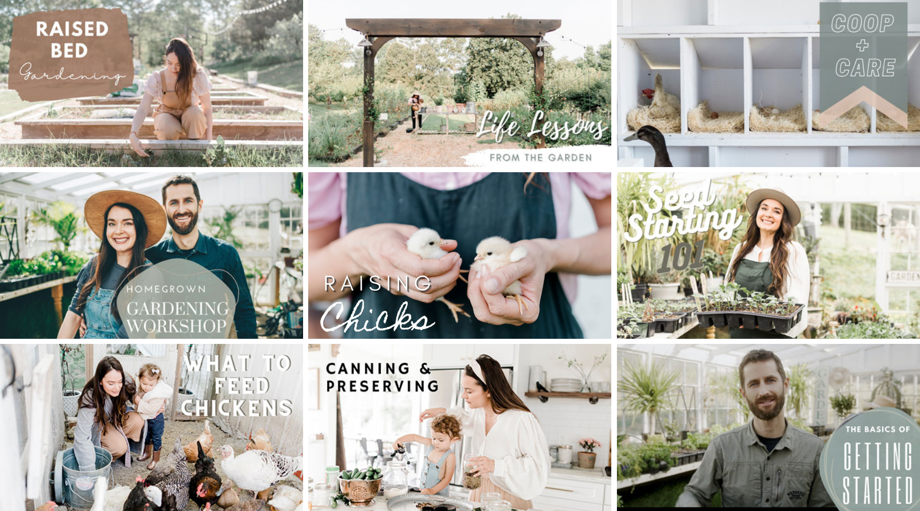 Understand when to Harvest Broccoli and How To Grow It Easily. - Azure Farm