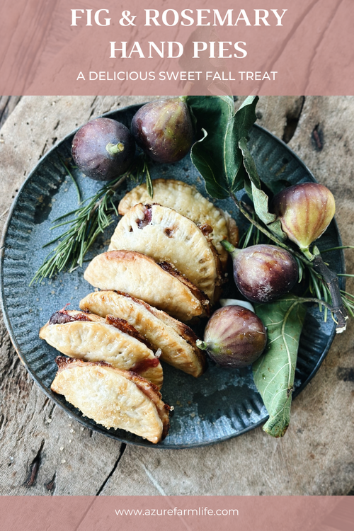 Fall Seasonal Eating With Fig and Rosemary Hand Pies