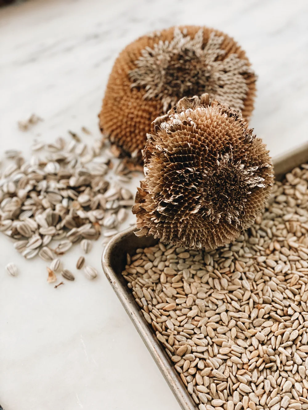Homemade Roasted Sunflower - Azure Farm
