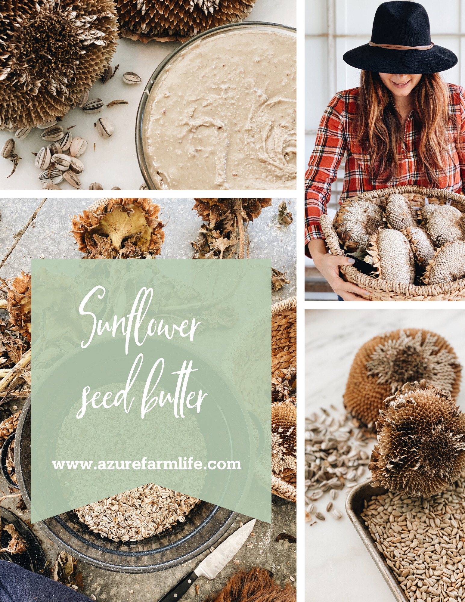 Homemade Roasted Sunflower - Azure Farm