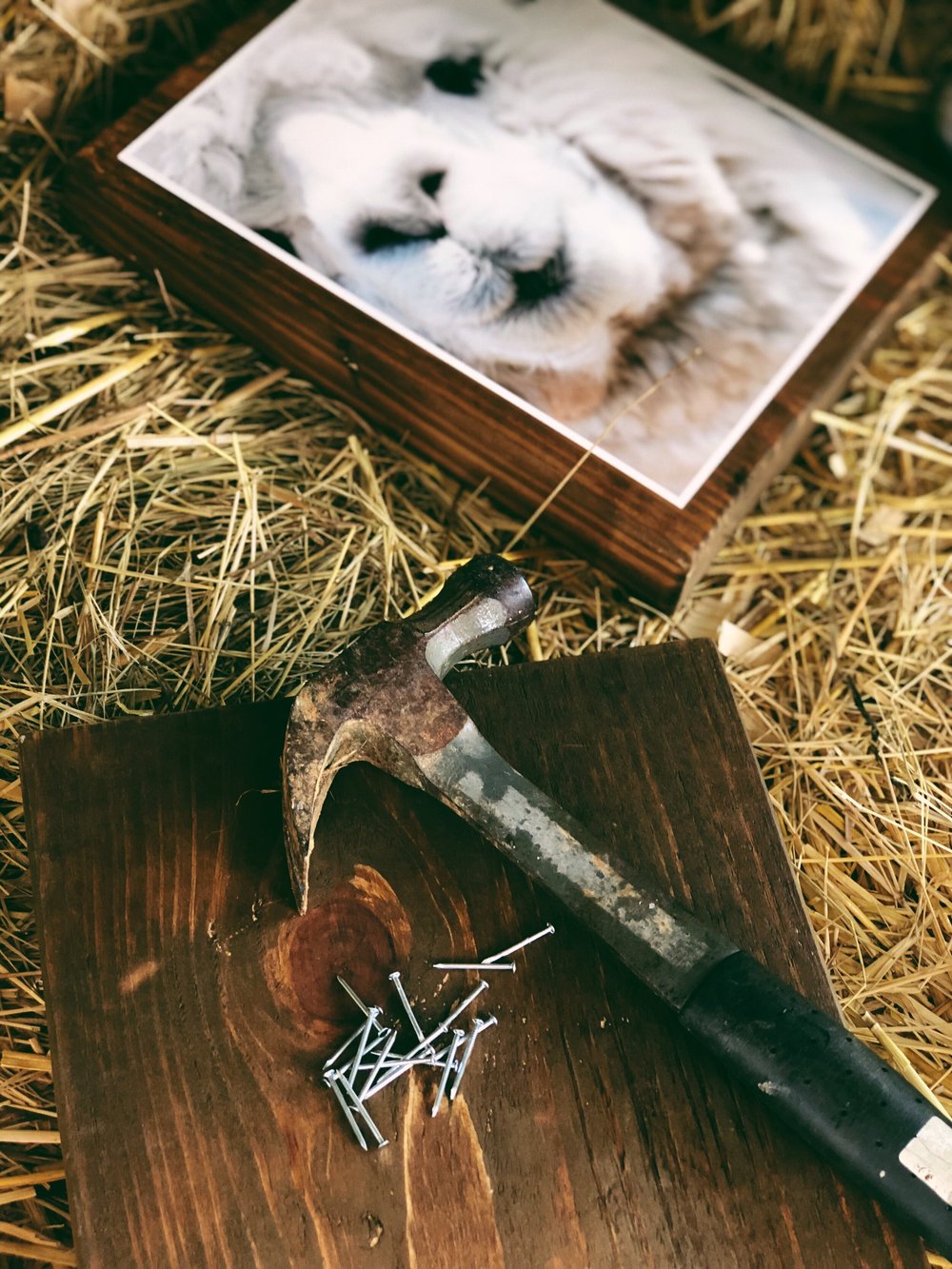Diy Holiday Gift - How to Make a Picture Frame - Azure Farm