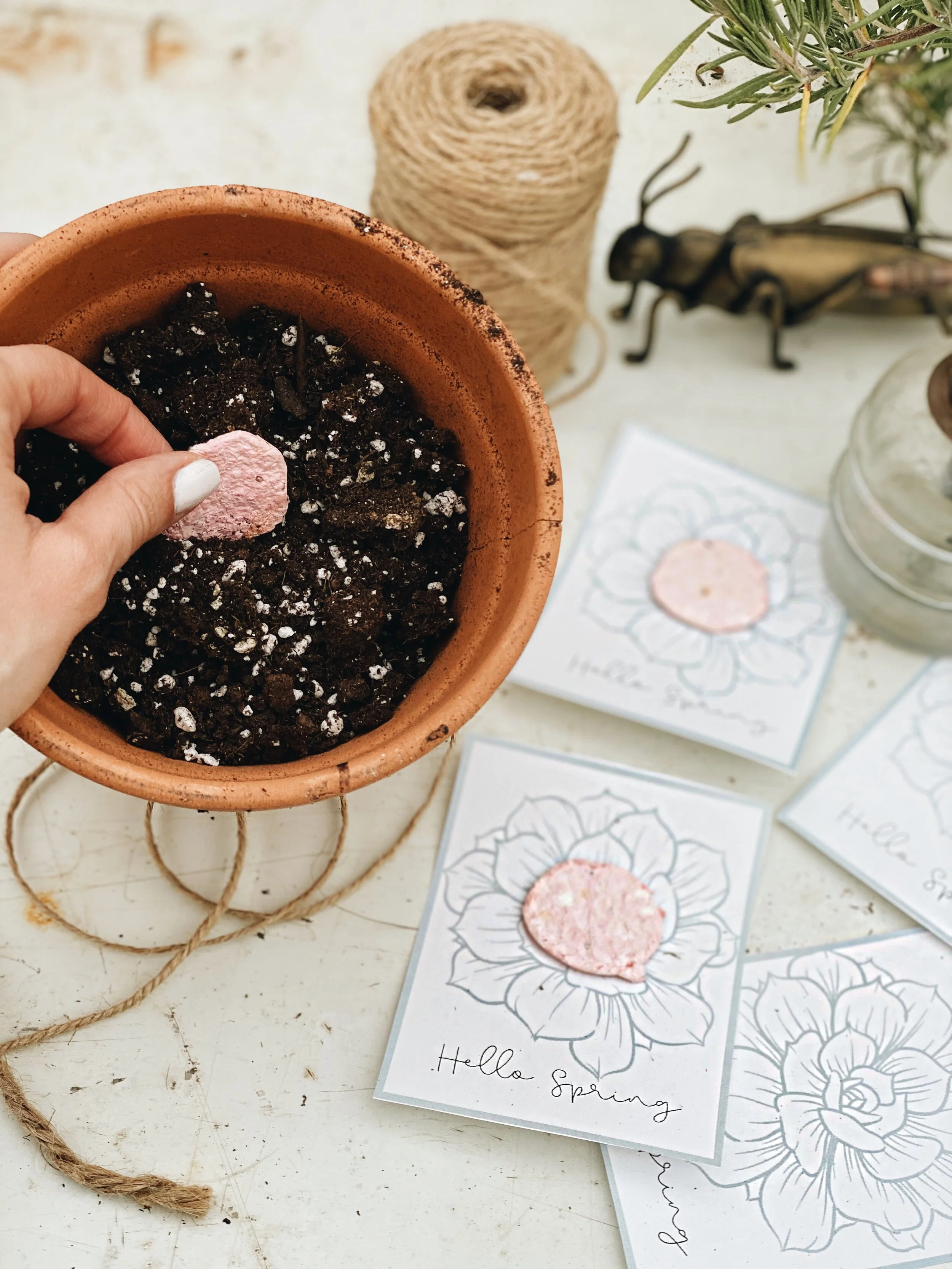 How to Make Plantable Seed Paper