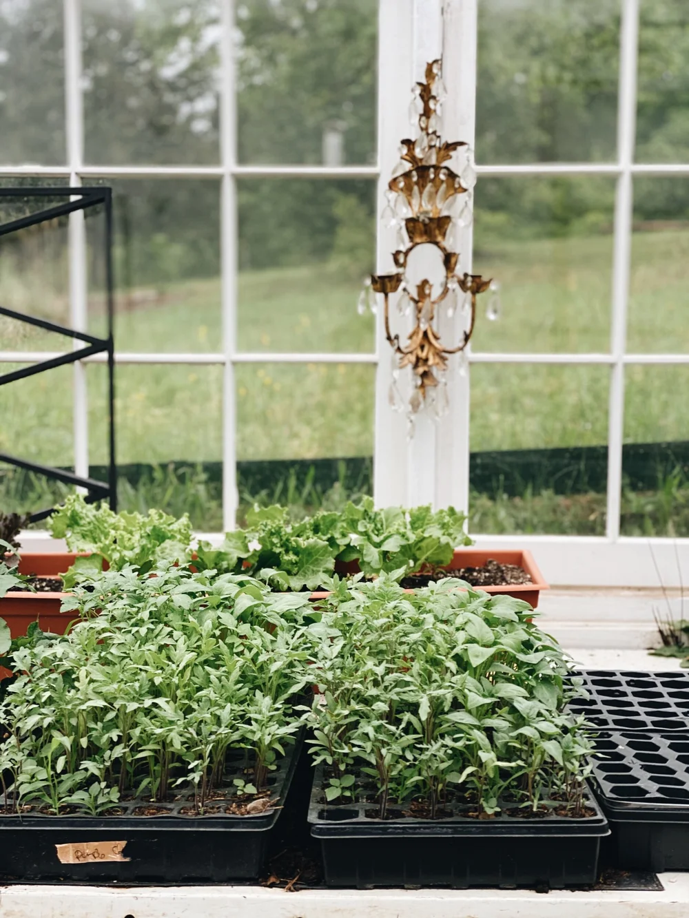 Tips on how to plan your Spring Garden