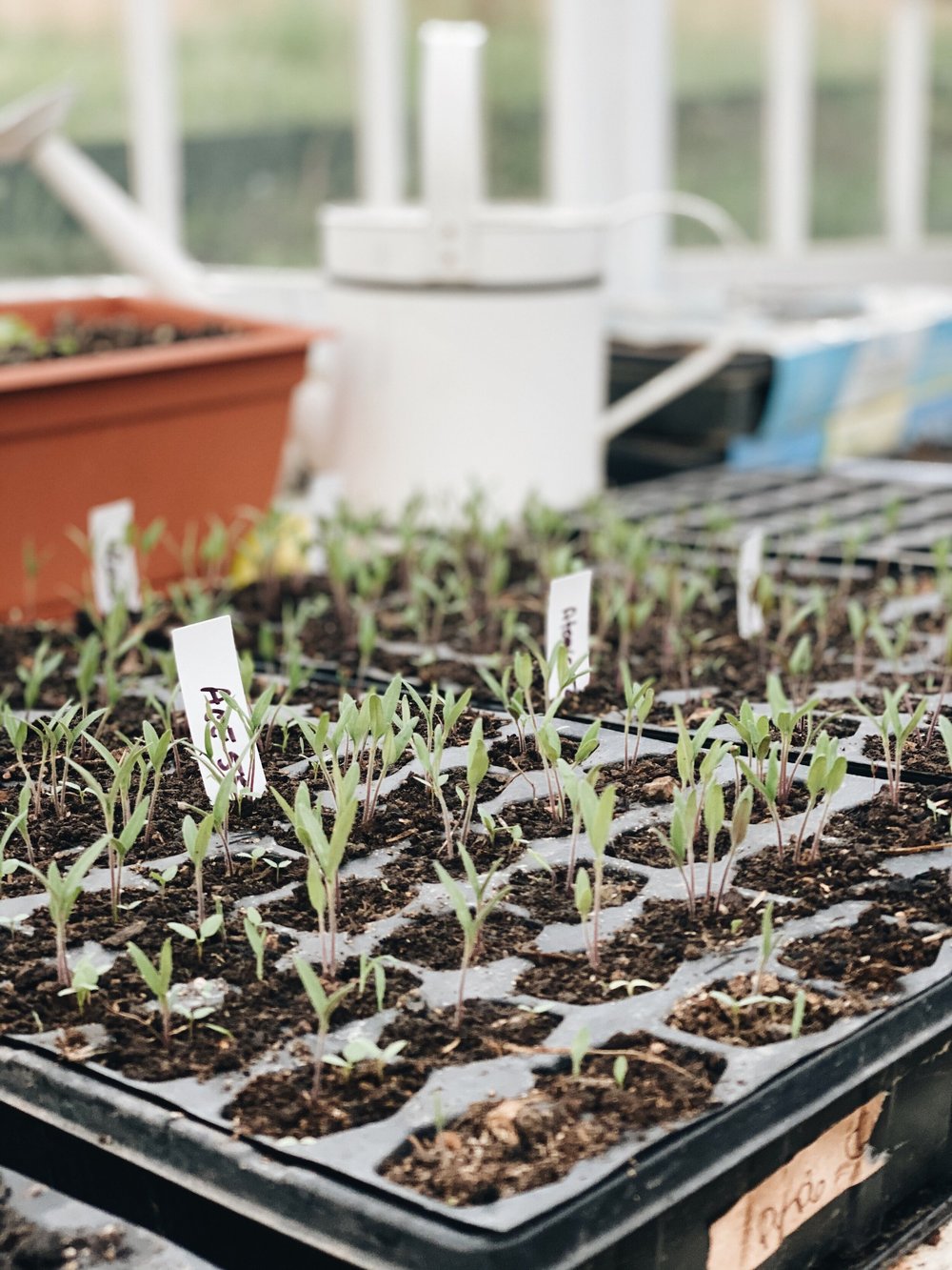 Tips on how to plan your Spring Garden