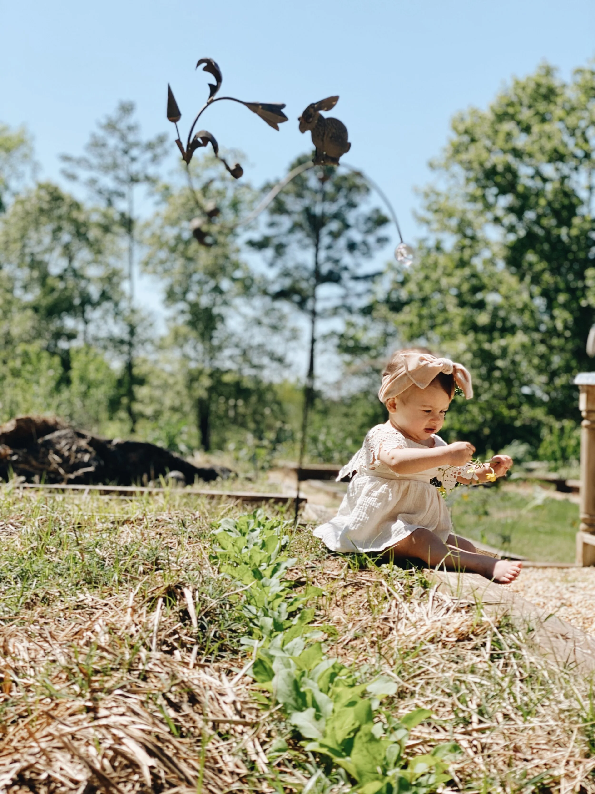 Tips on how to plan your Spring Garden