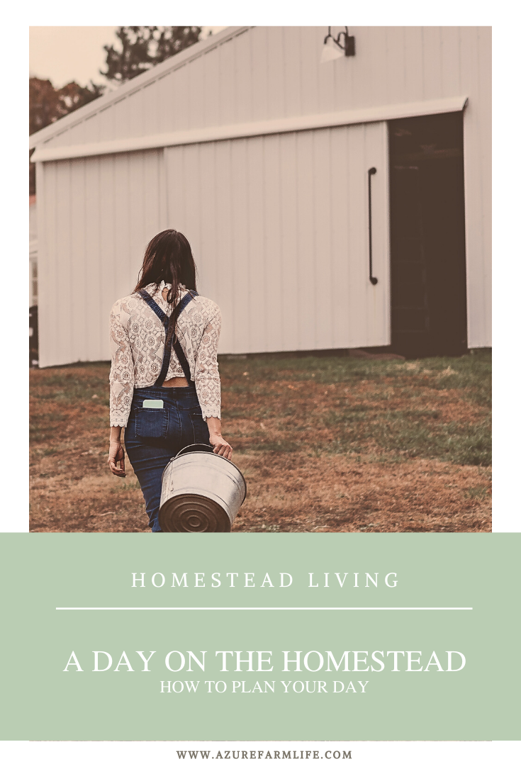A Day On The Homestead - Azure Farm