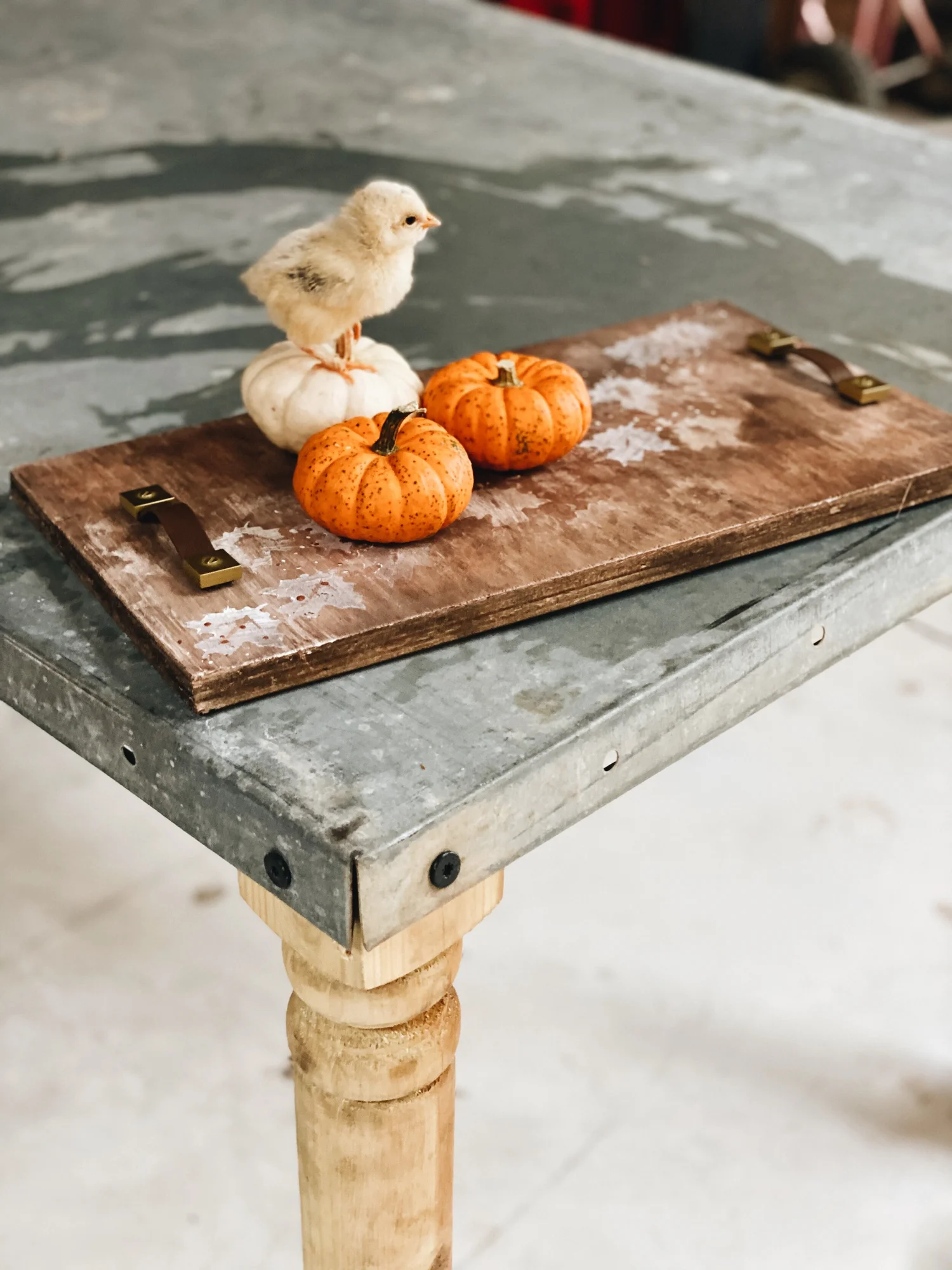 Fall Tray DIY