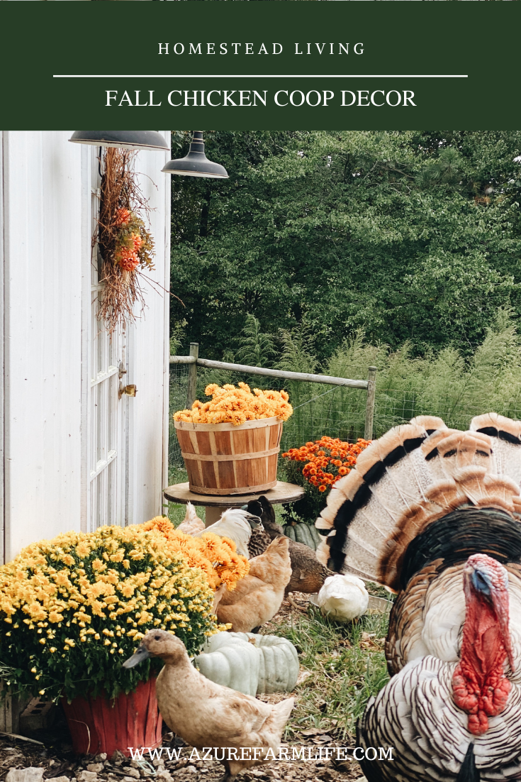 Fall Chicken Coop