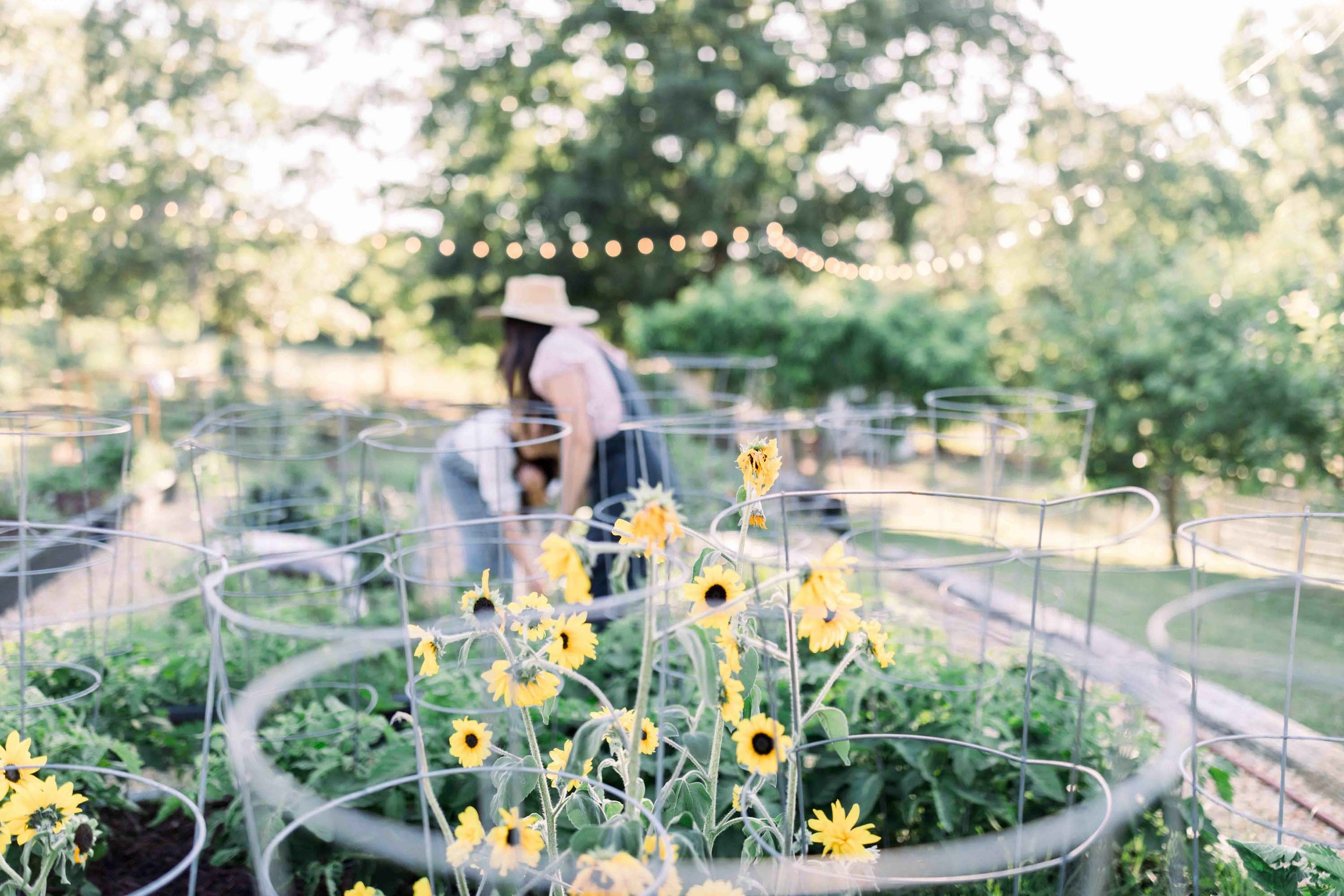 HOME | Country & Simple Living