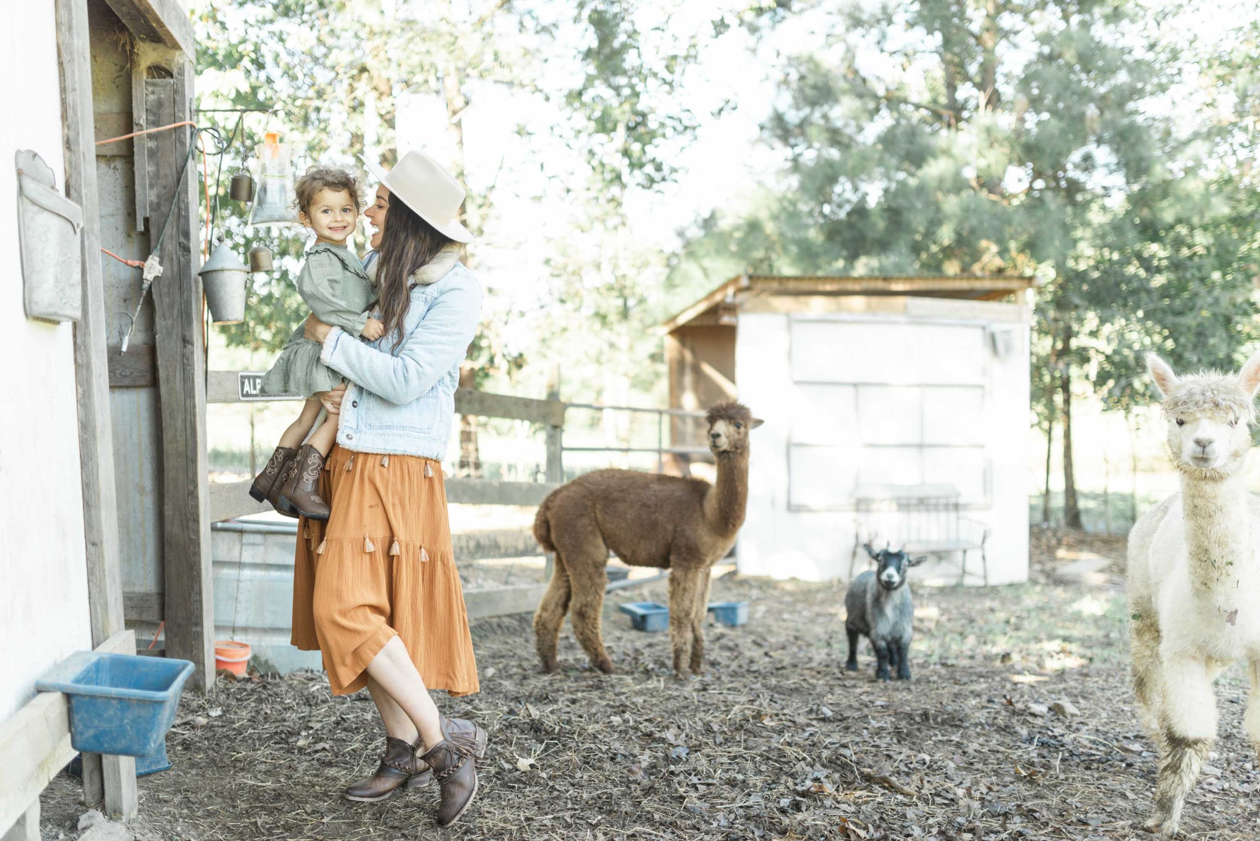 ABOUT | Homesteading