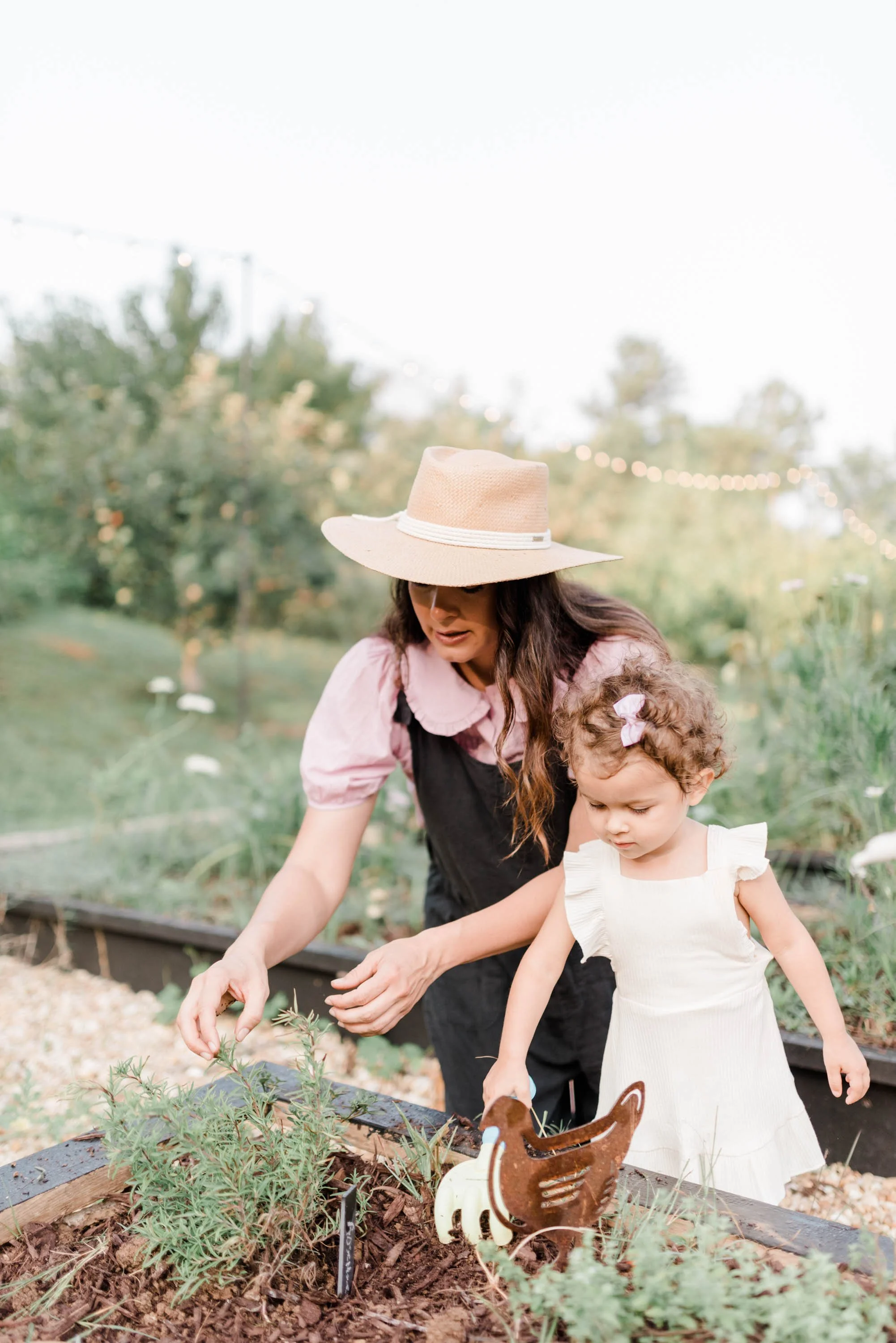 ABOUT | Homesteading