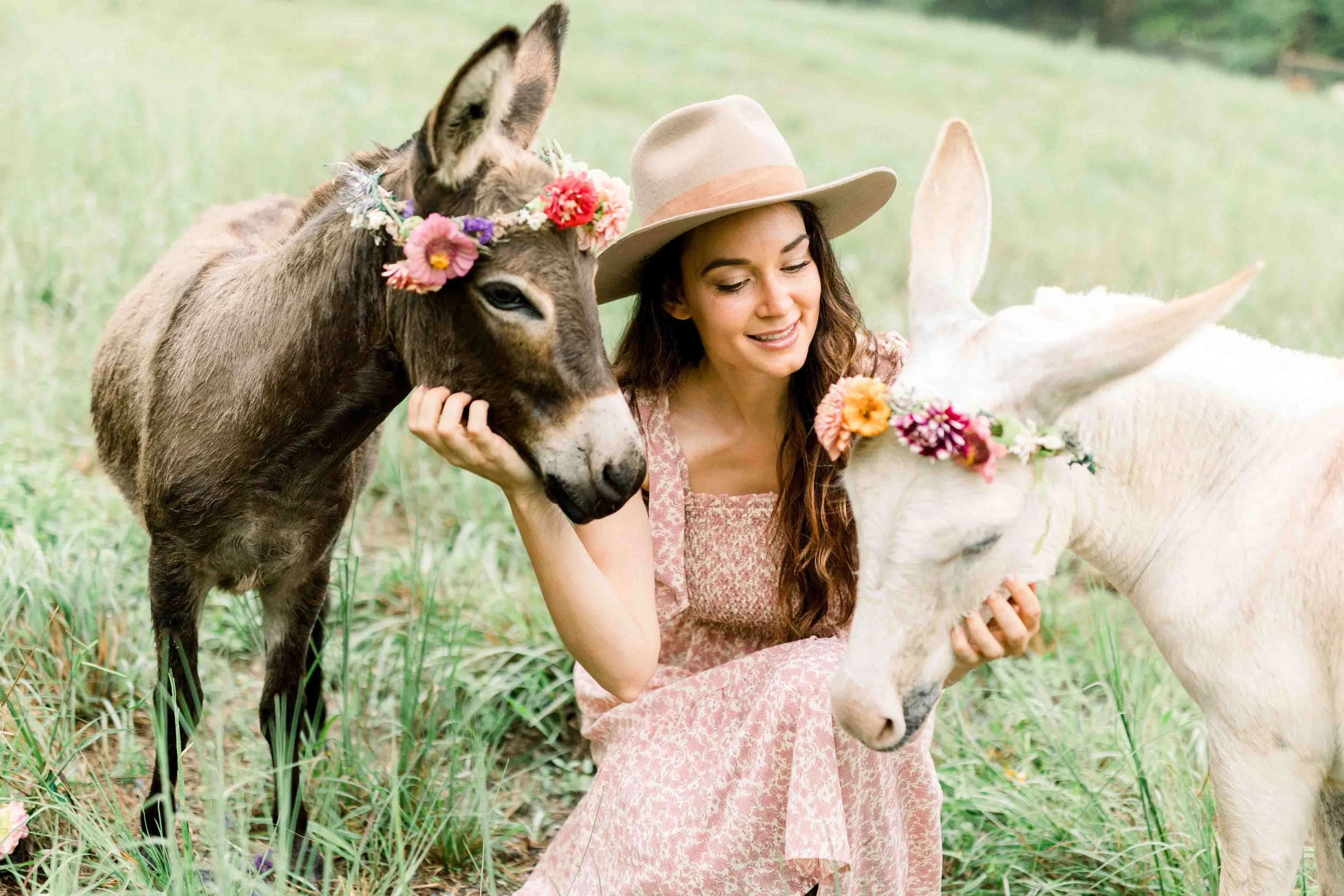 Experience the Charm and Adventure of Farm Life - Azure Farm