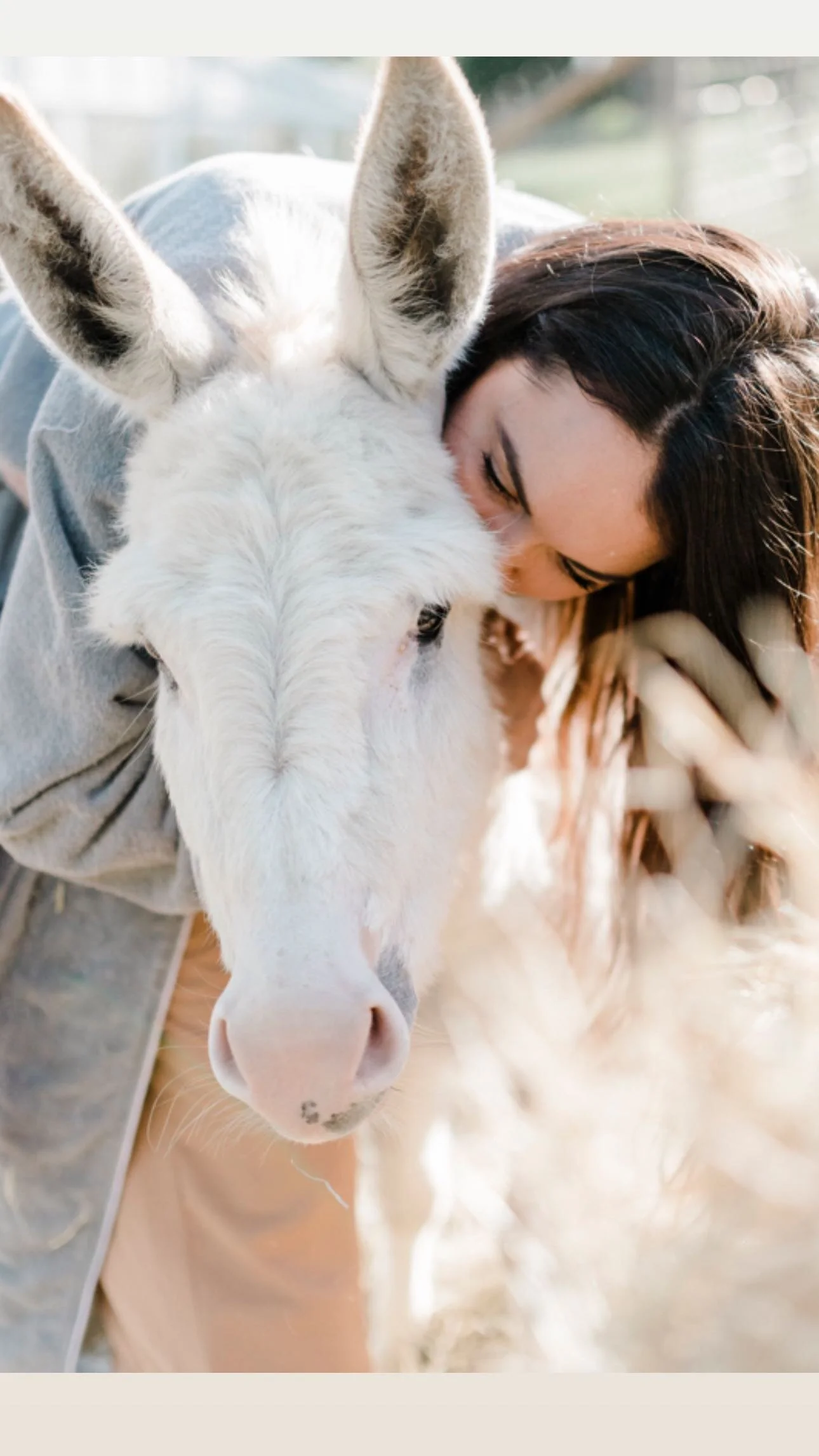 20 Ways To Experience Country Living, No Matter Where You Live - Azure Farm