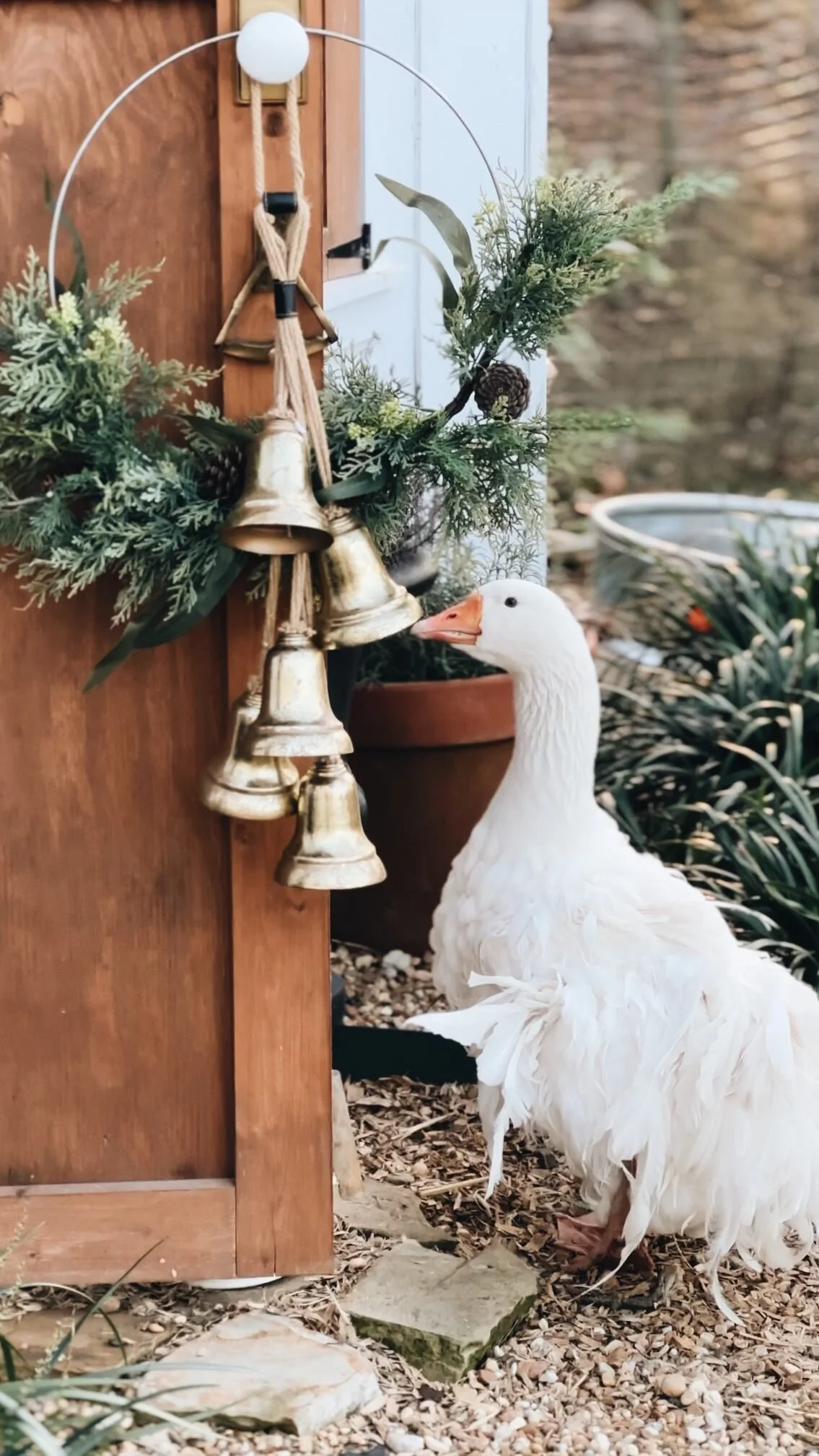 30 Tasks To Help You Prepare For Fall And Winter On The Farm - Azure Farm