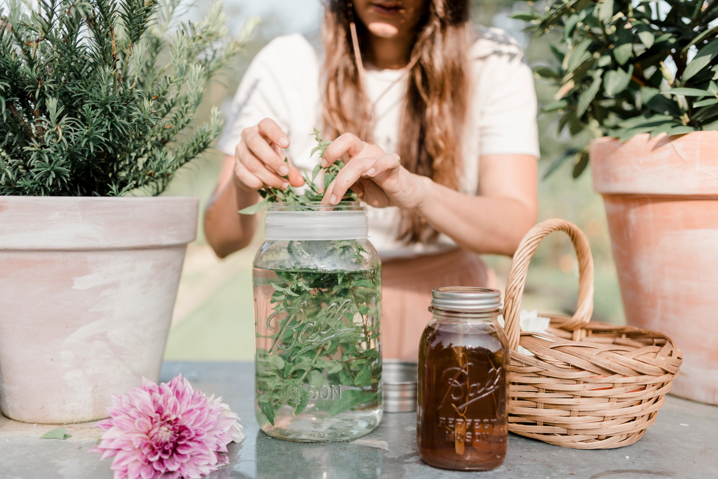 Refreshing Peppermint Sun Tea
