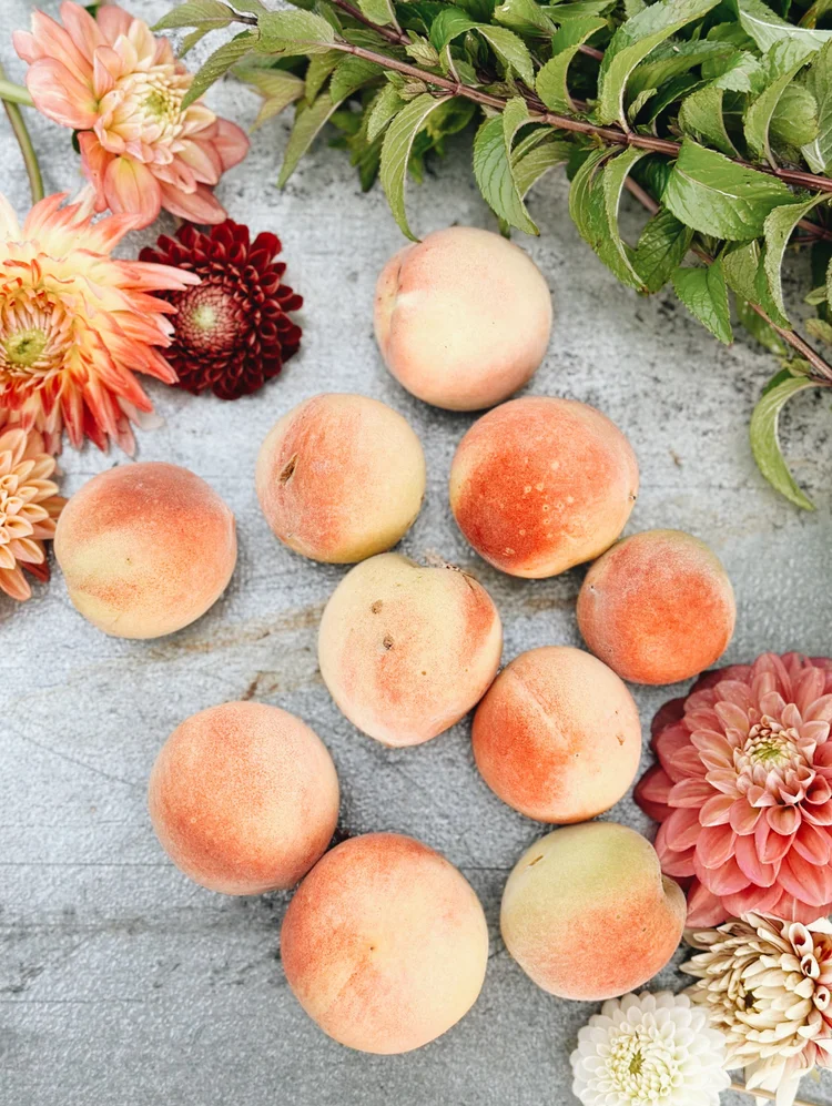 A Honey-spiced Peaches Canning Recipe - Azure Farm