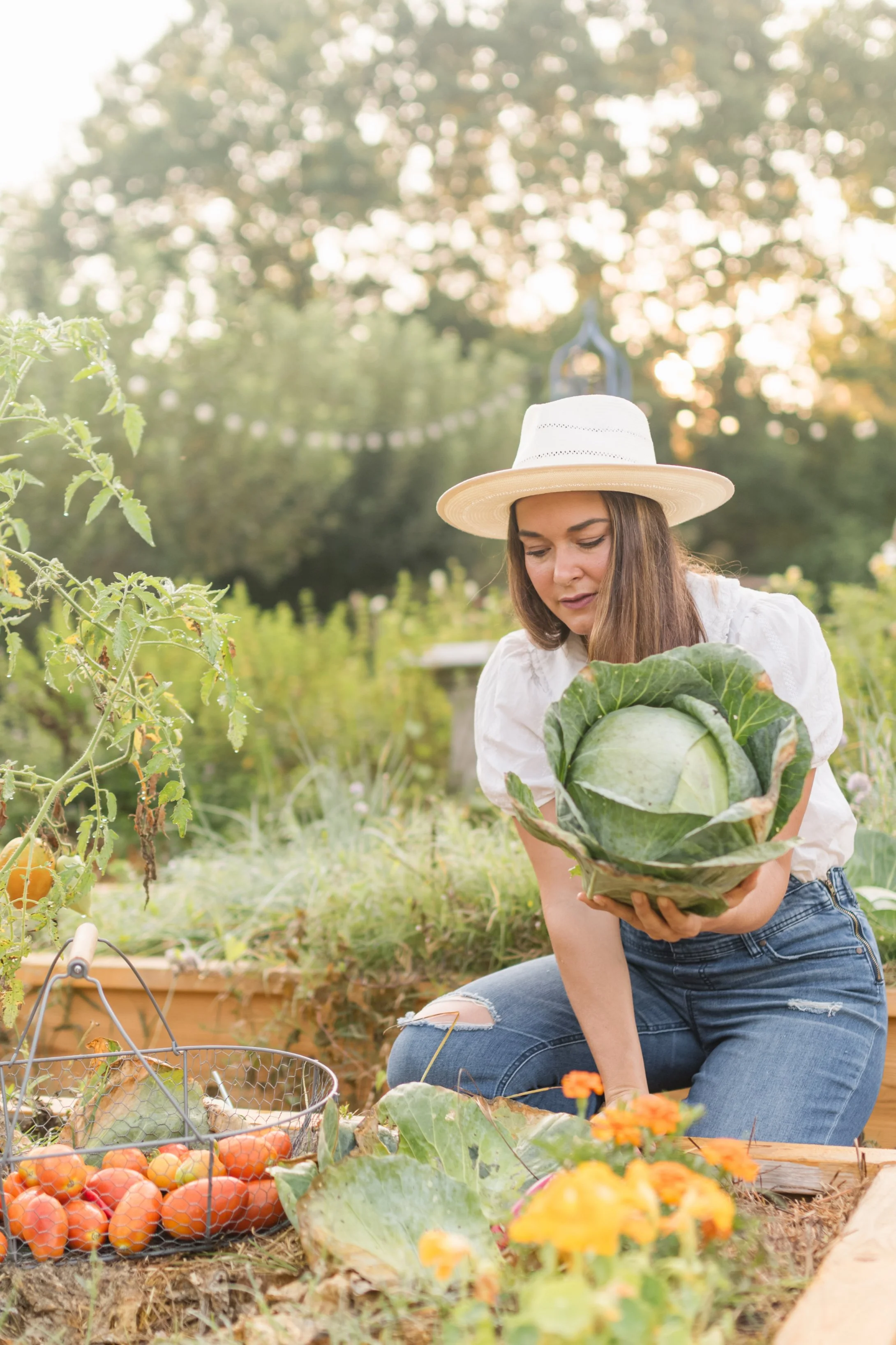Homesteading For Beginners