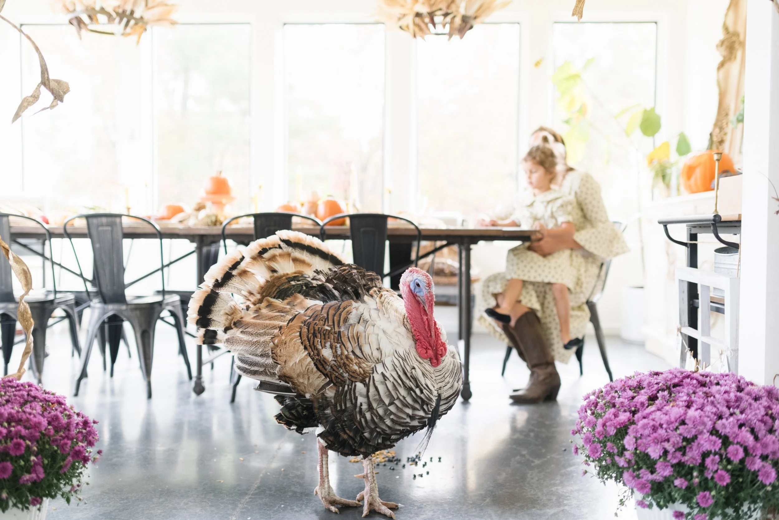 A Thanksgiving Table That Echoes Gratitude - Azure Farm