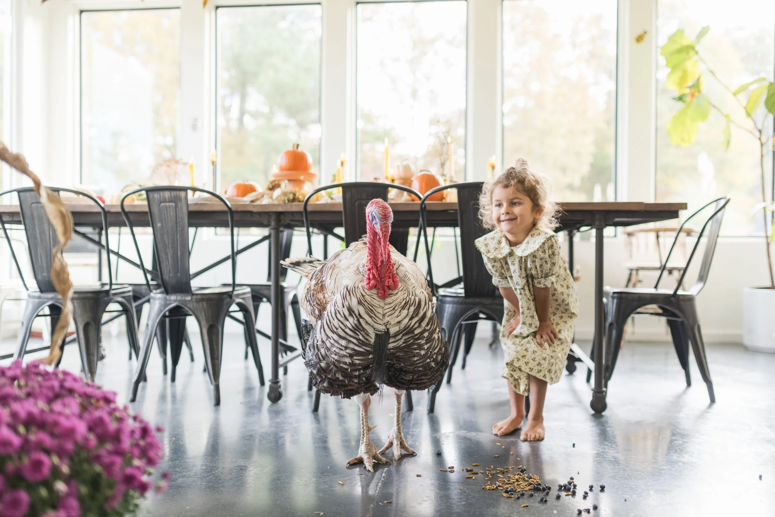 A Thanksgiving Table That Echoes Gratitude - Azure Farm