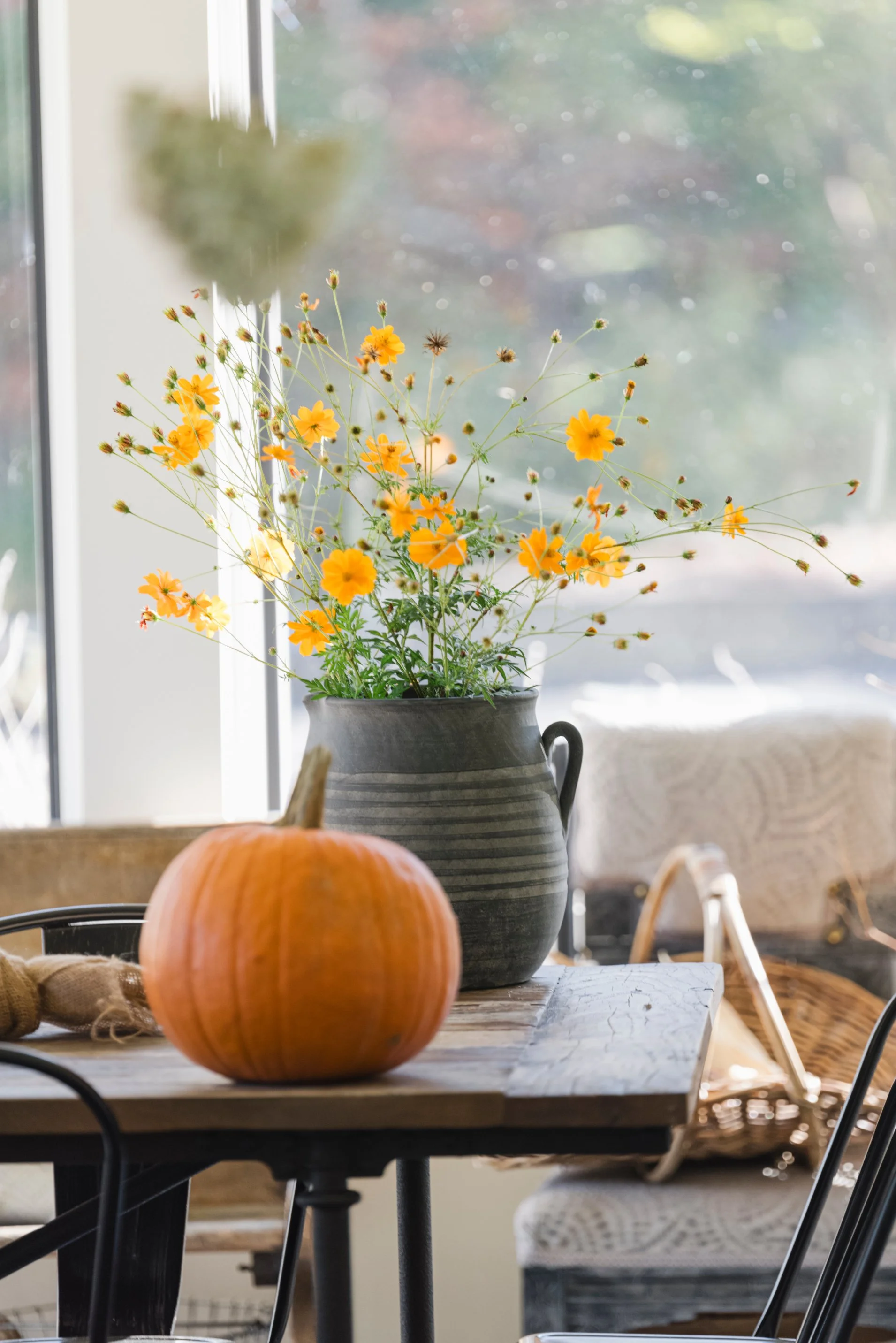 Thanksgiving Table Decorating Ideas Using Natural & Foraged Items