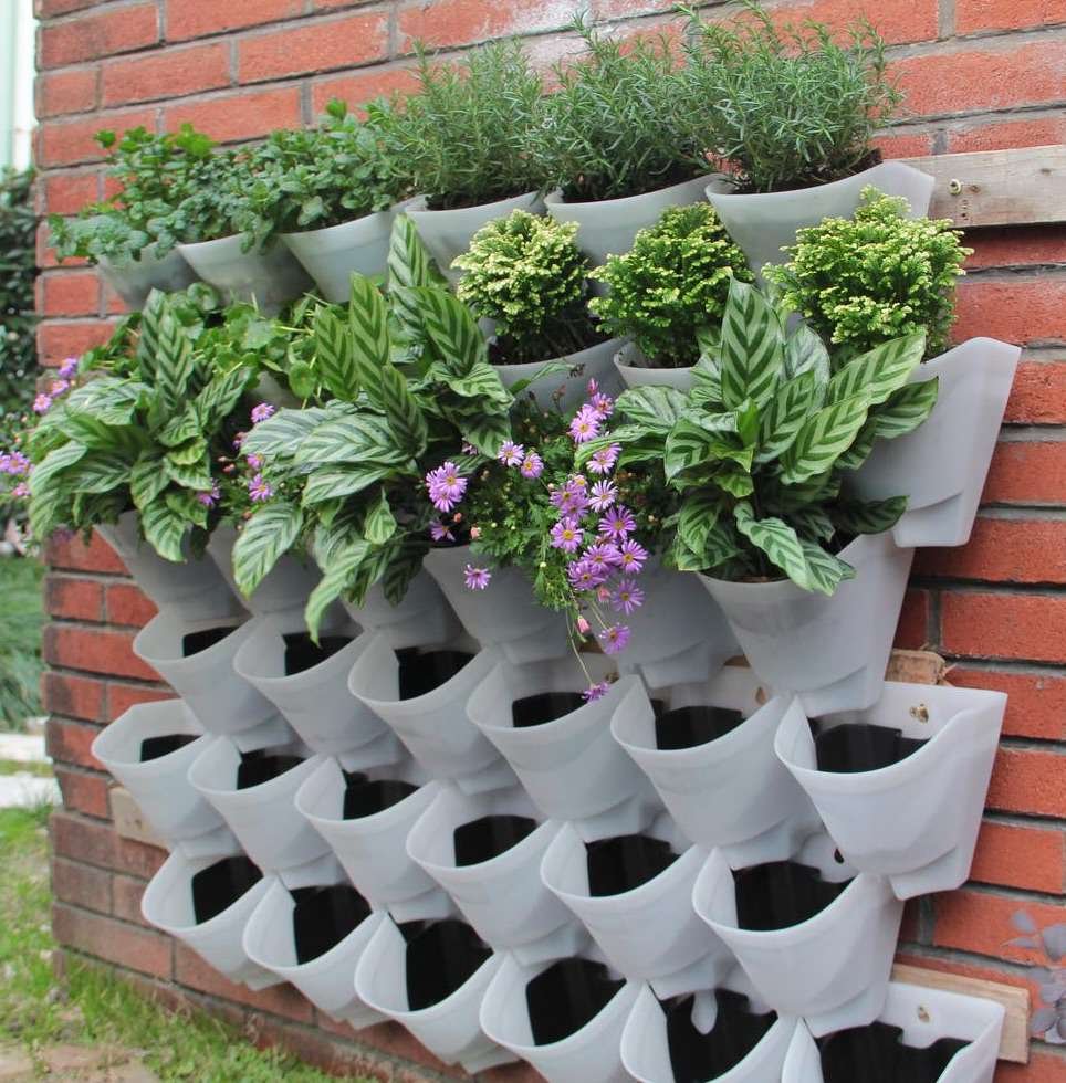 Creative Ideas for Vertical Gardening and Planting