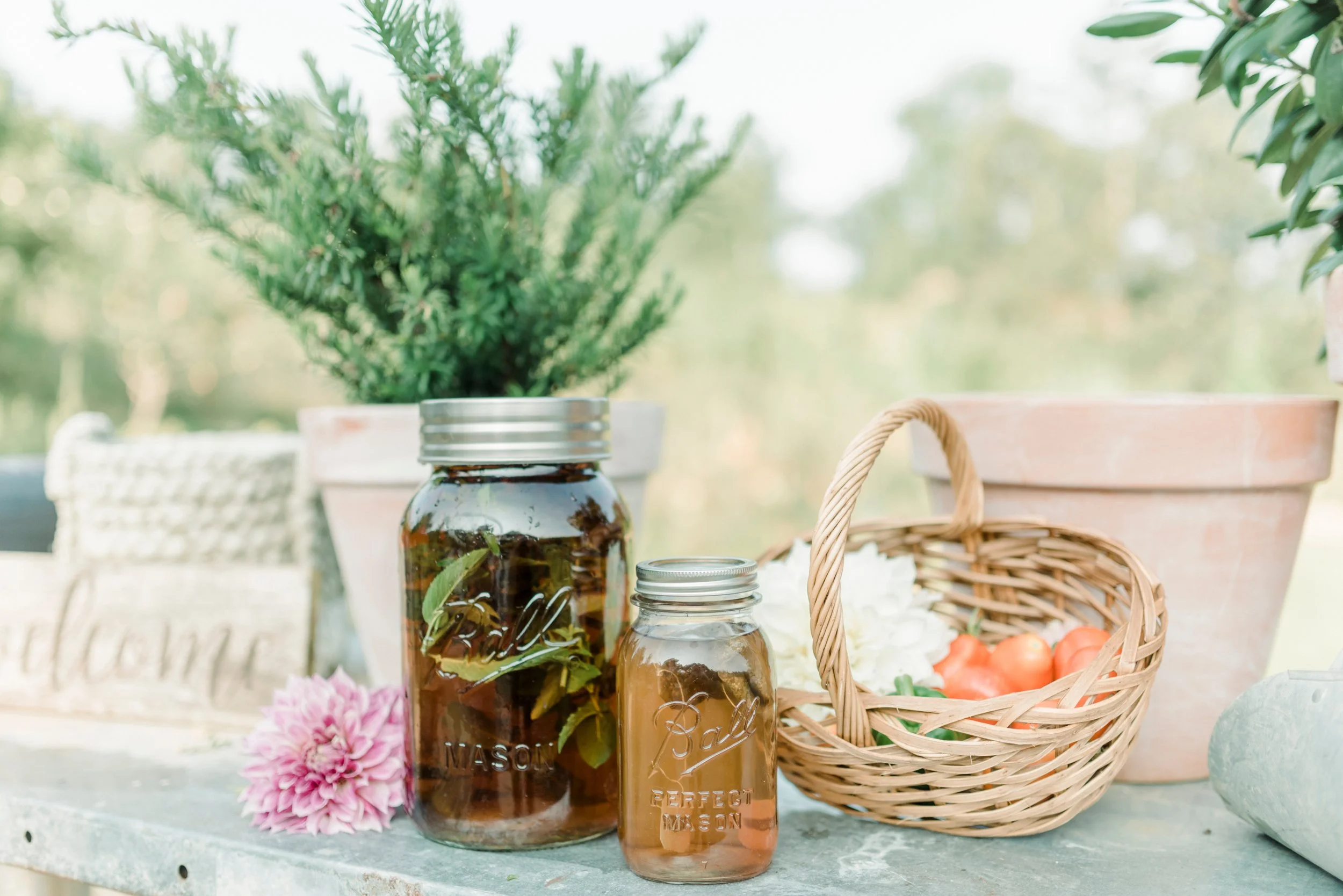Refreshing Peppermint Sun Tea