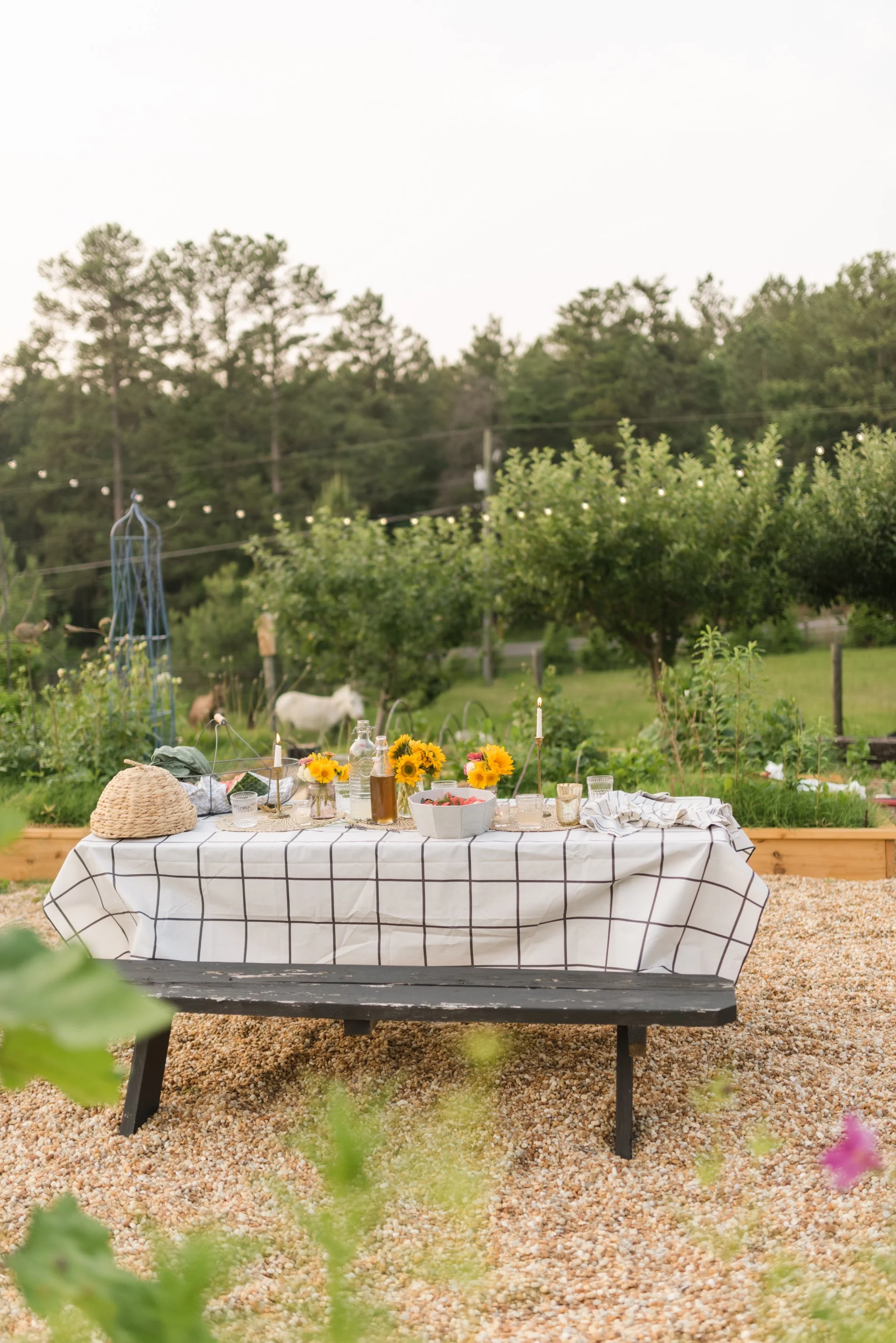 An End-of-Summer Garden Dinner With A Sweet Watermelon Salad