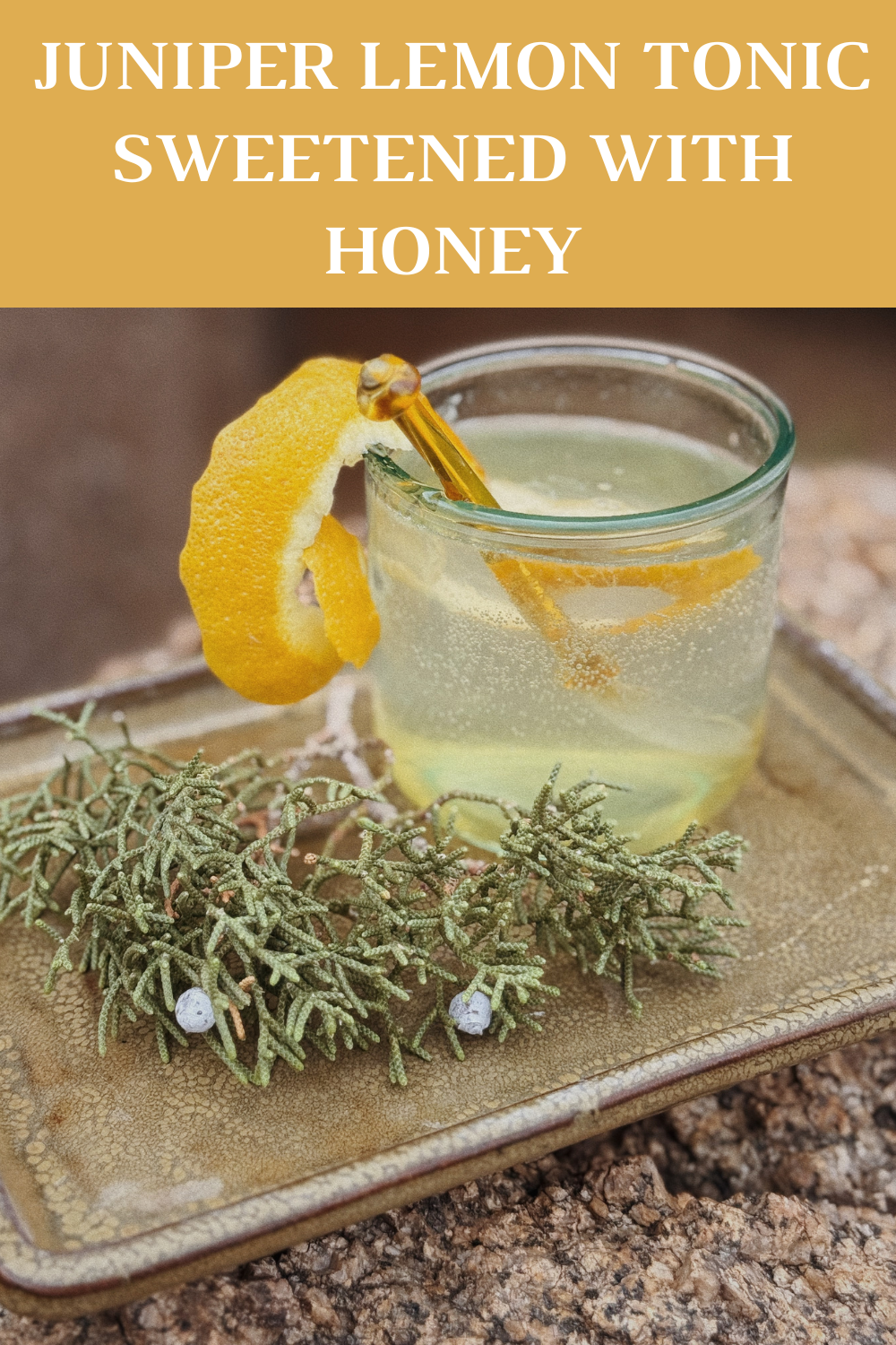 From the Desert: A Juniper Lemon Tonic for Digestive Support