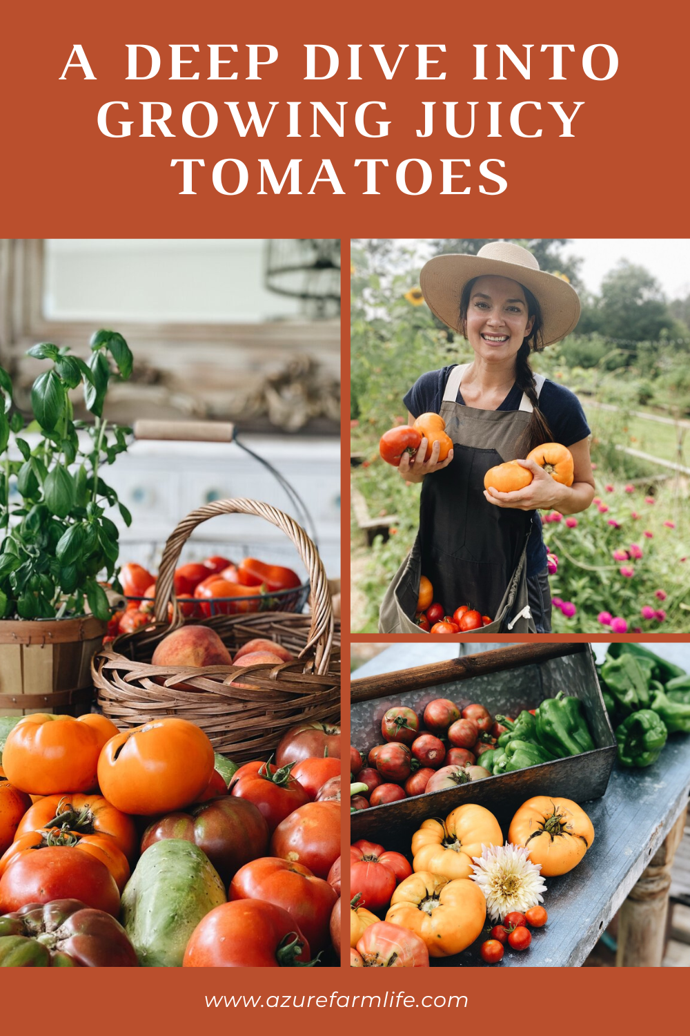 A Deep Dive Into Planting And Growing Healthy, Juicy Tomatoes