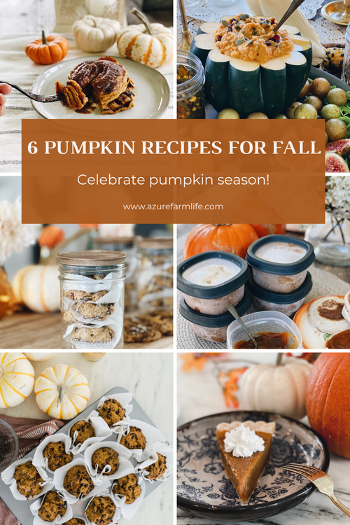 6 Cozy Pumpkin Recipes to Celebrate Fall