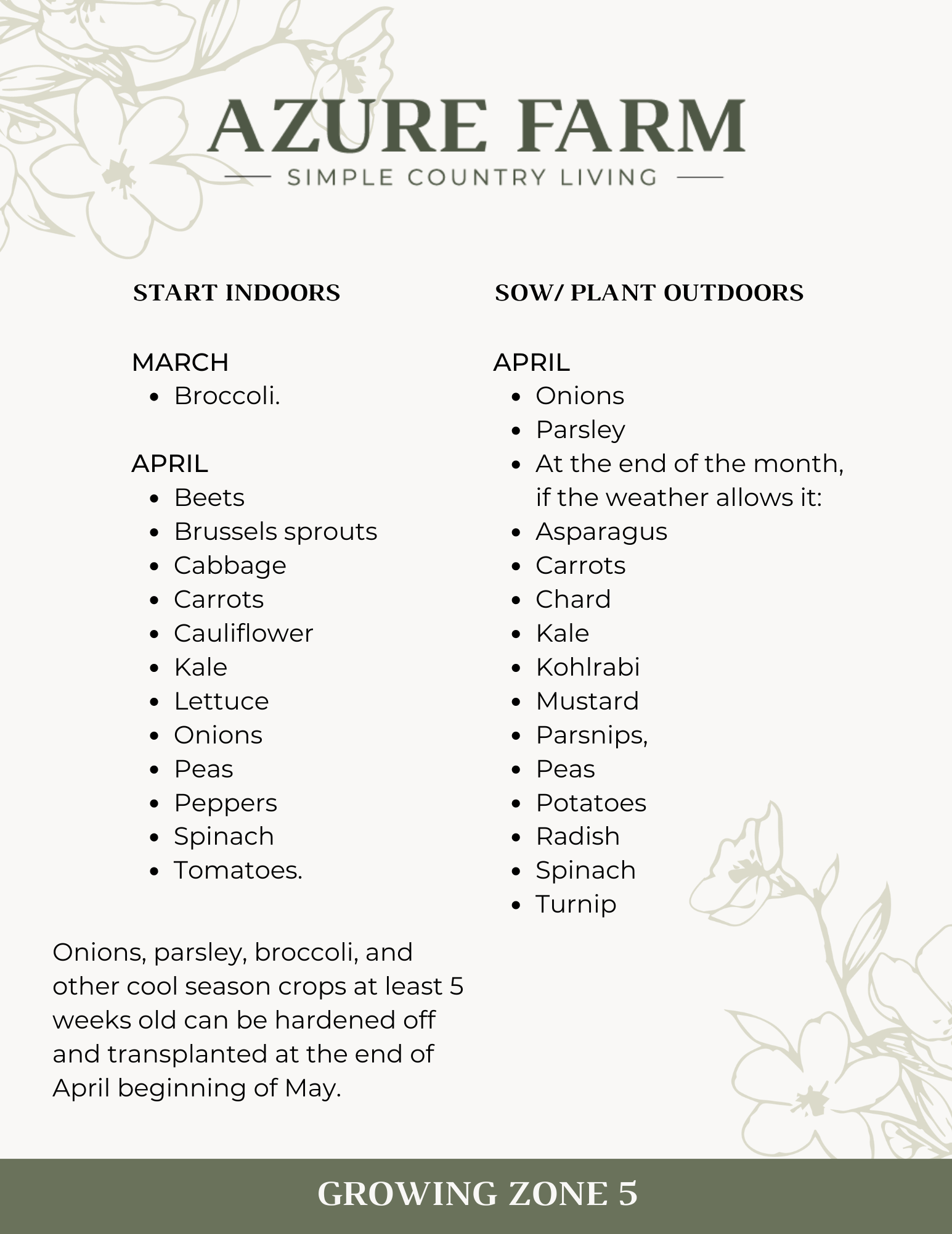 Seeds To Start In March And April