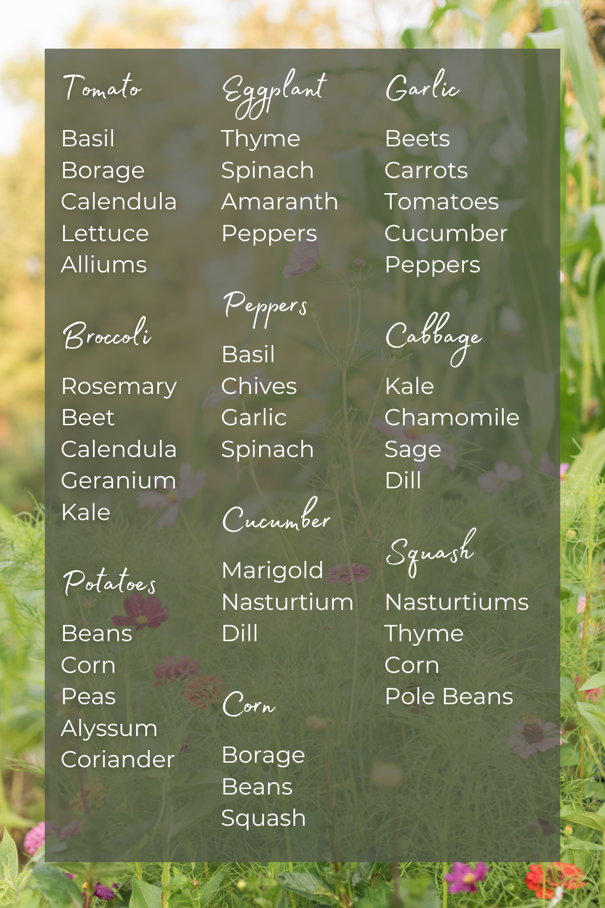 Your Companion Planting Chart for a Healthier, Happier Garden
