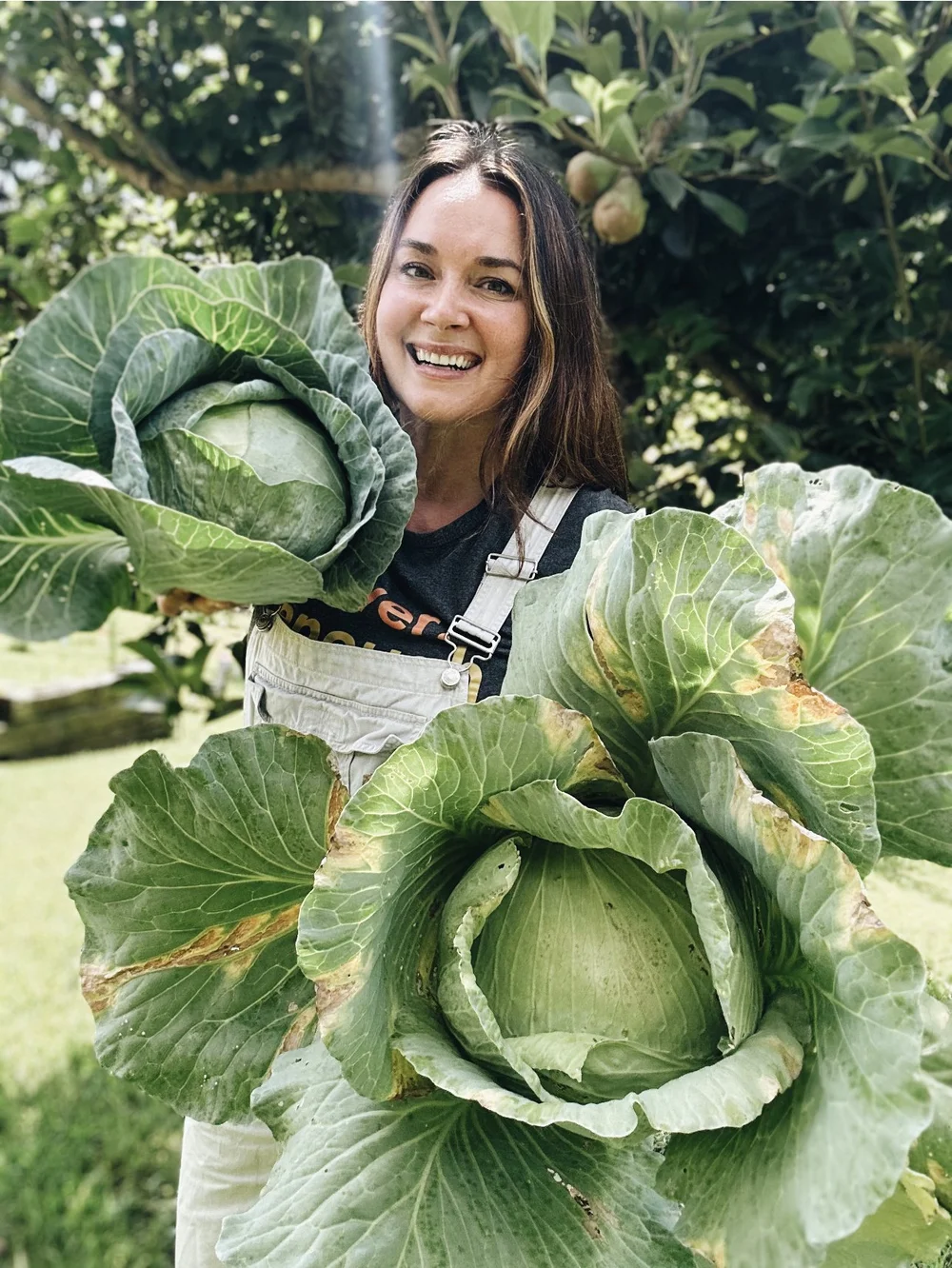 My Complete Guide to Growing Cabbage: From Seed to Harvest