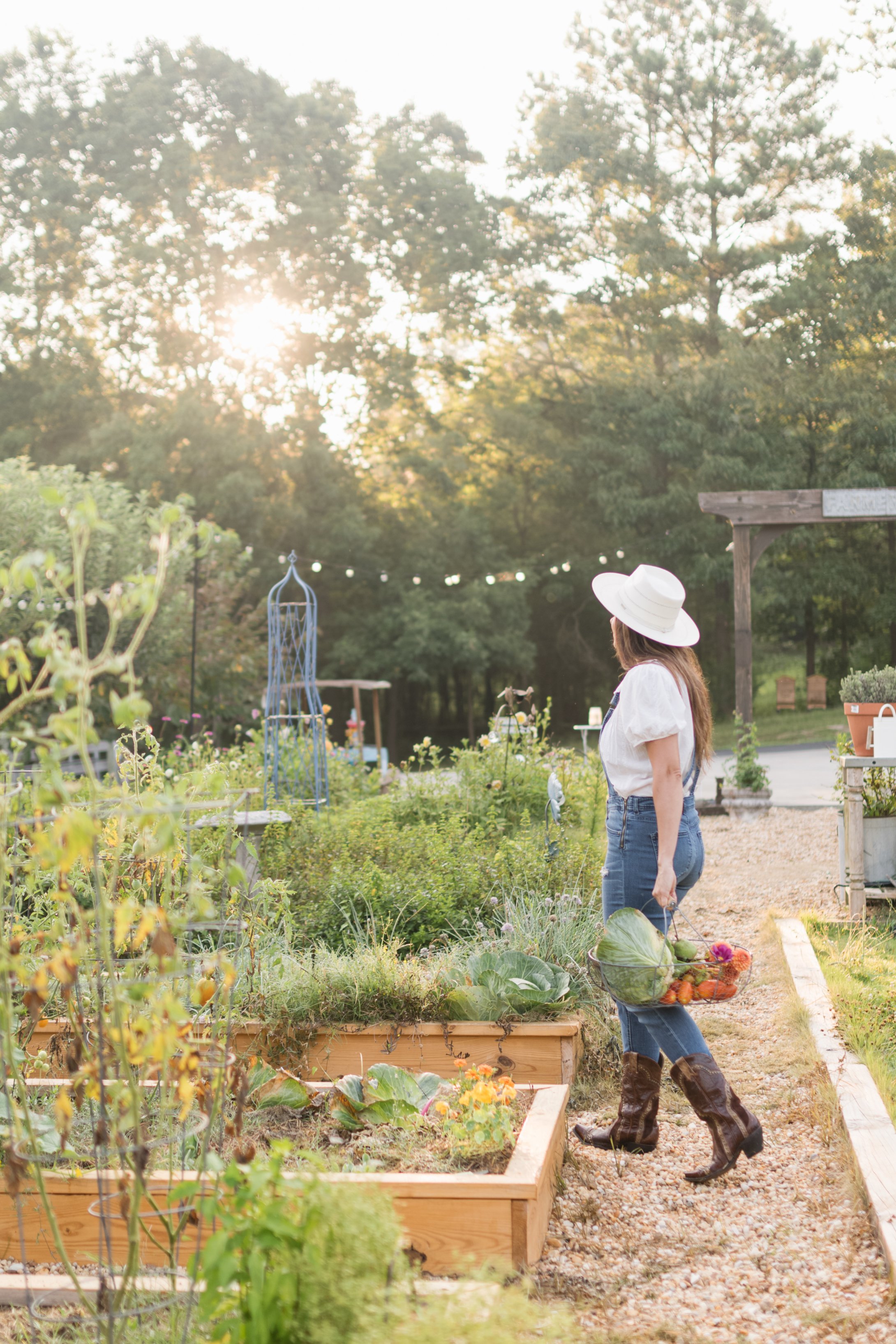 Homesteading For Beginners